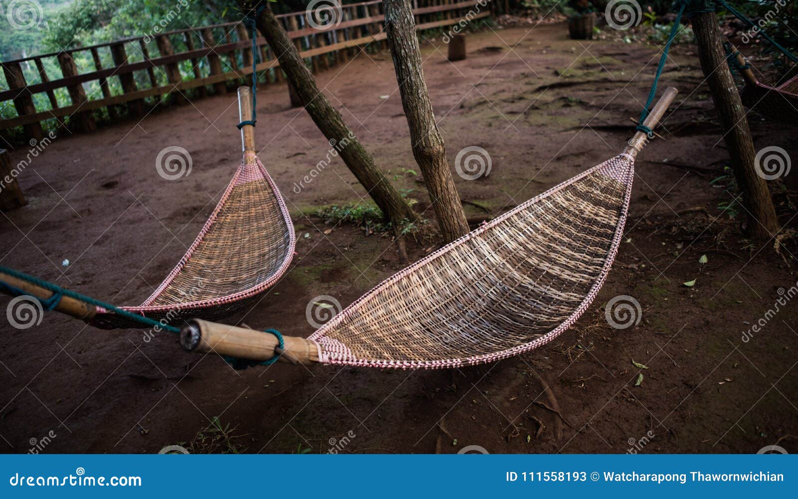 Natural Weave Hammock in Forest Stock Image - Image of soil, moisture ...