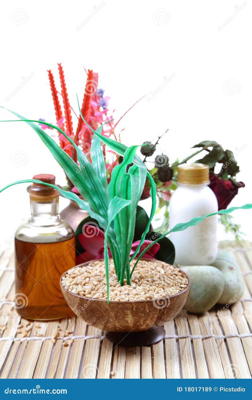 Natural wellness theme stock image. Image of flower, plant - 18017189