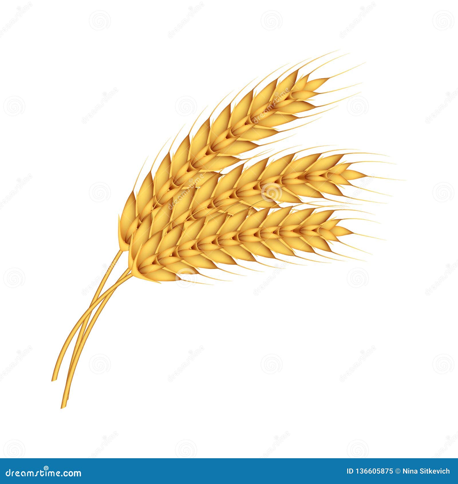 Natural Wheat Icon, Realistic Style Stock Vector - Illustration of ...