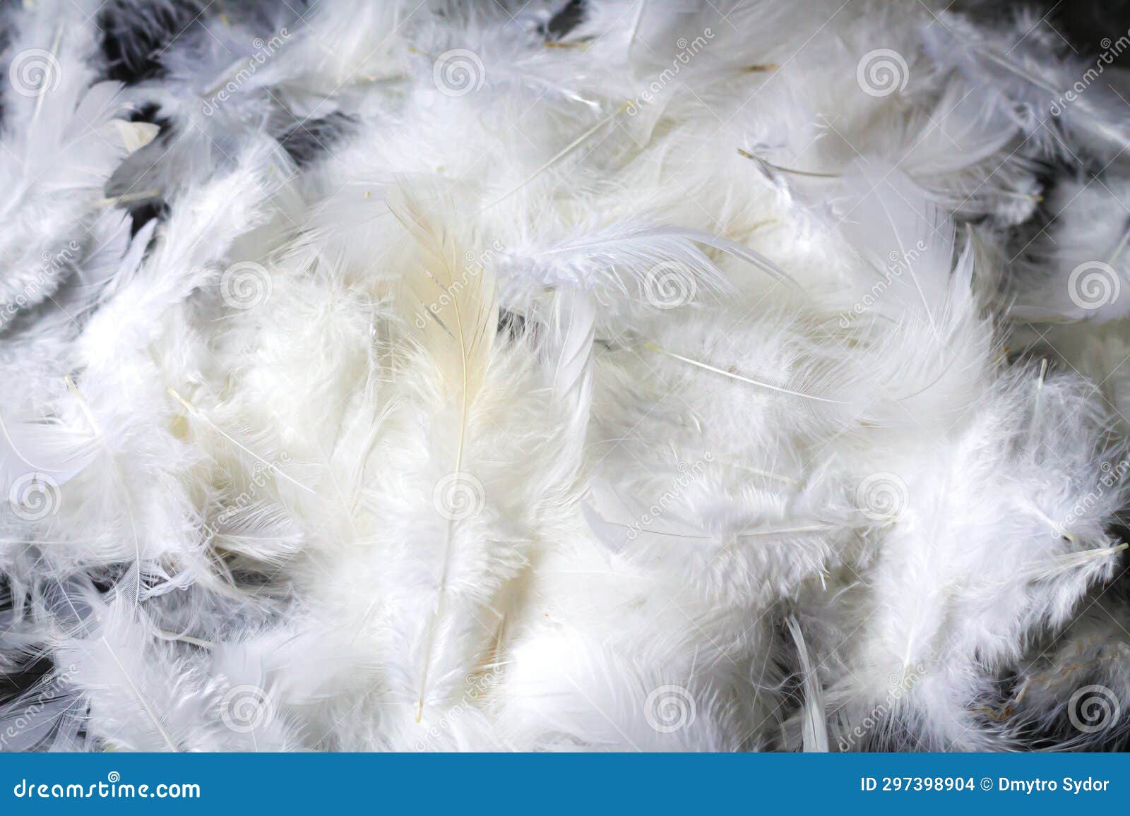 Natural White Feather Pattern Background Texture Stock Photo - Image of ...