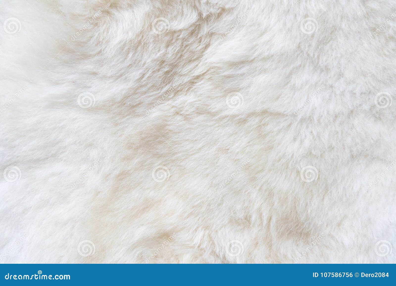 Natural White Fur Background, Design Template, Place for Text Stock ...