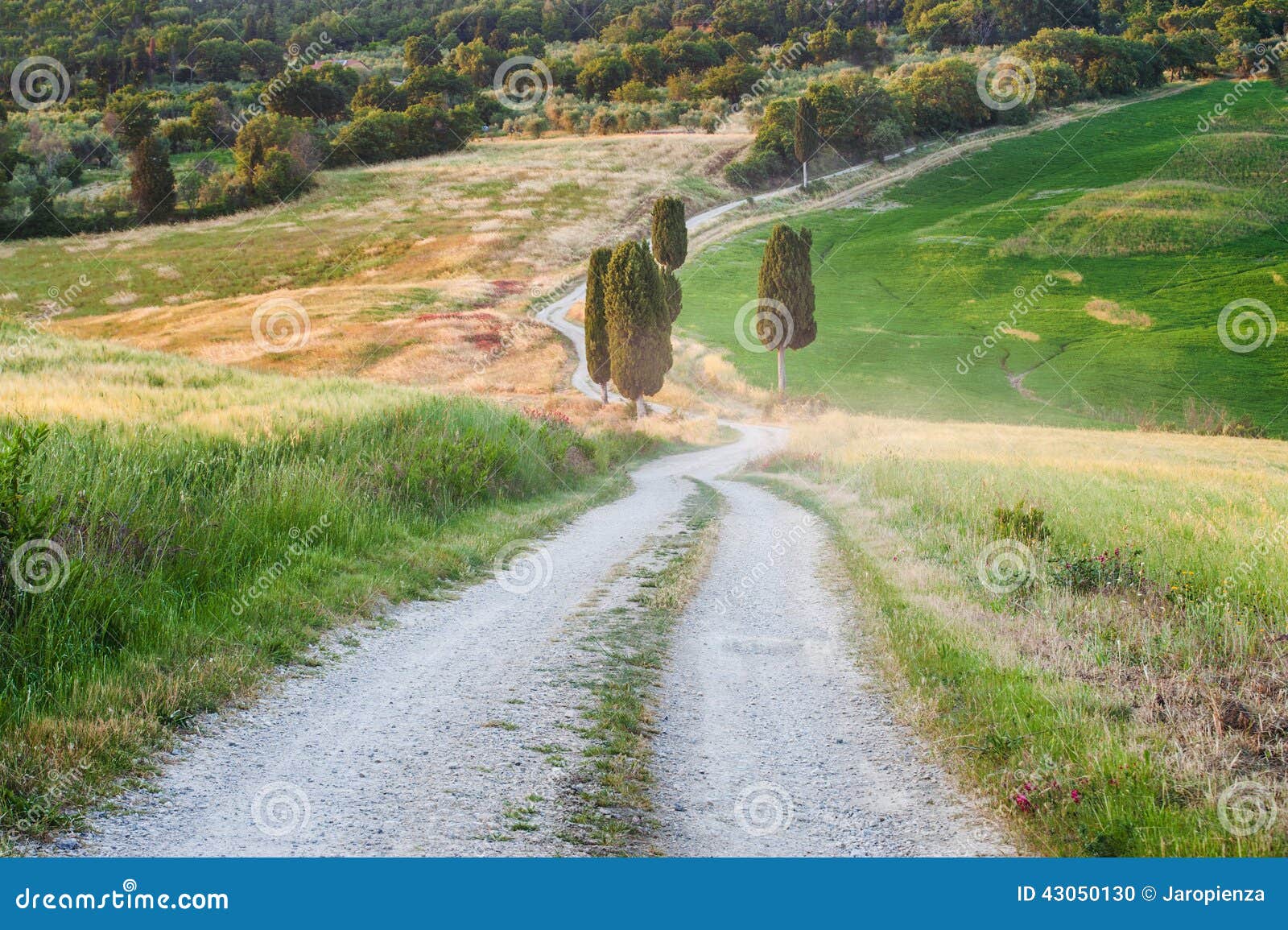 Natural White Rustic Road in Tuscany, Italy Stock Photo - Image of ...