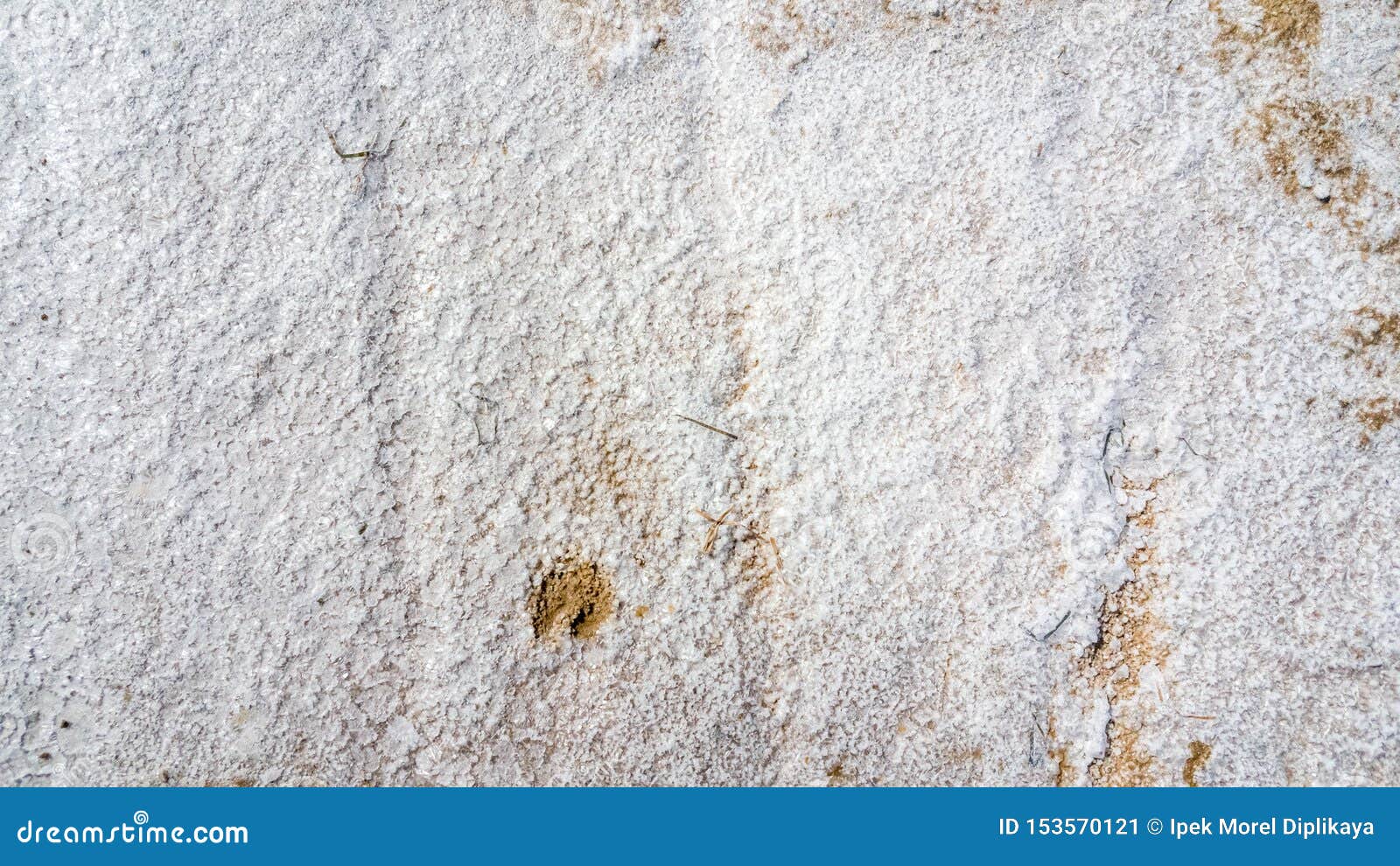 Natural White Salt Crystal Texture on the Sand Stock Image - Image of ...