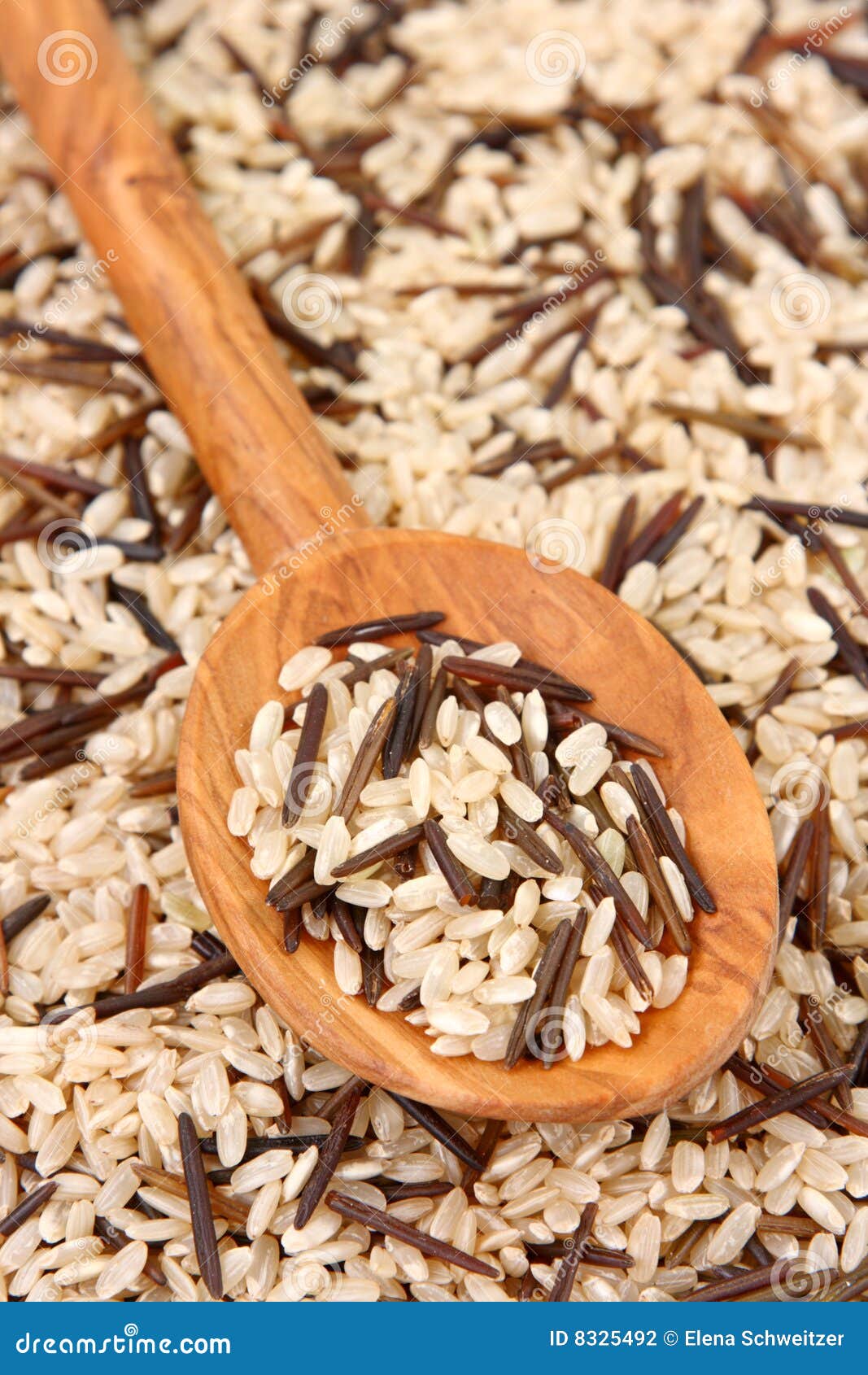 Natural and wild rice stock photo. Image of healthy, agriculture - 8325492