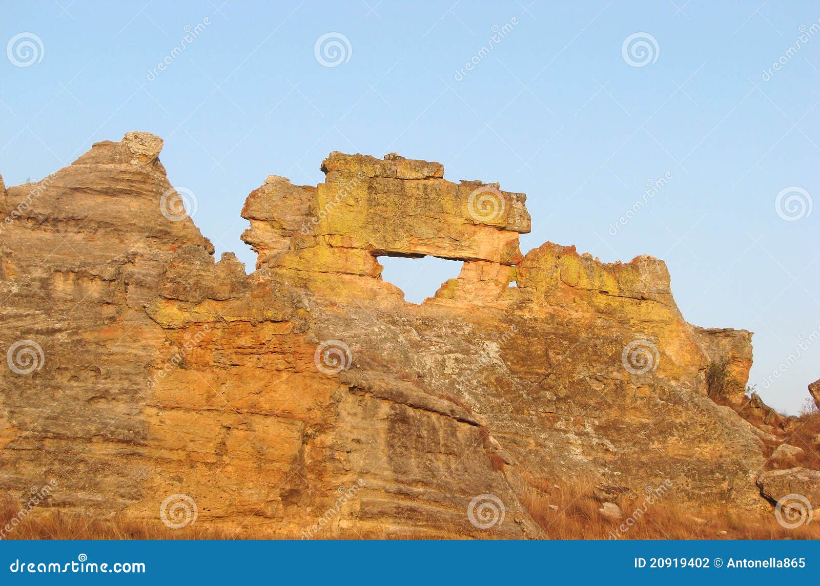 Natural Window, Forest Frame Royalty-Free Stock Image | CartoonDealer ...