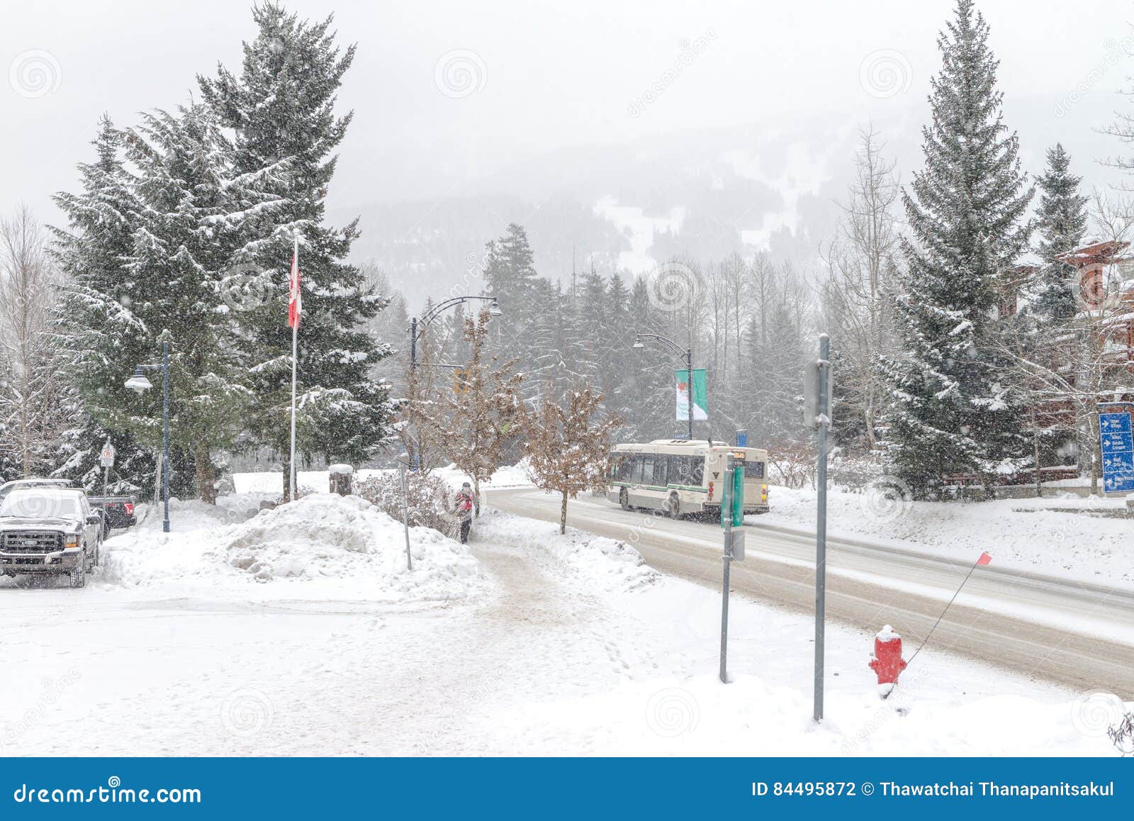 Natural during Winter Season in Vancouver Canada Dec 2016 Editorial ...