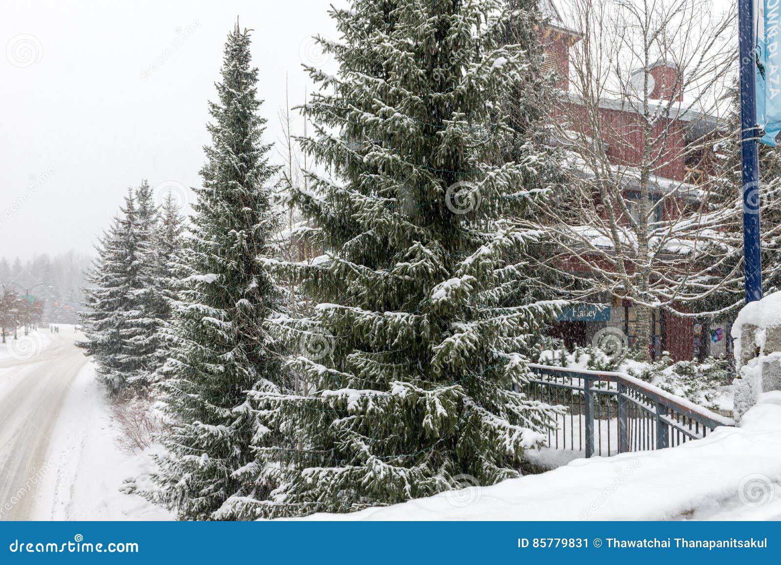 Natural during Winter Season in Vancouver Canada Dec 2016 Stock Image ...