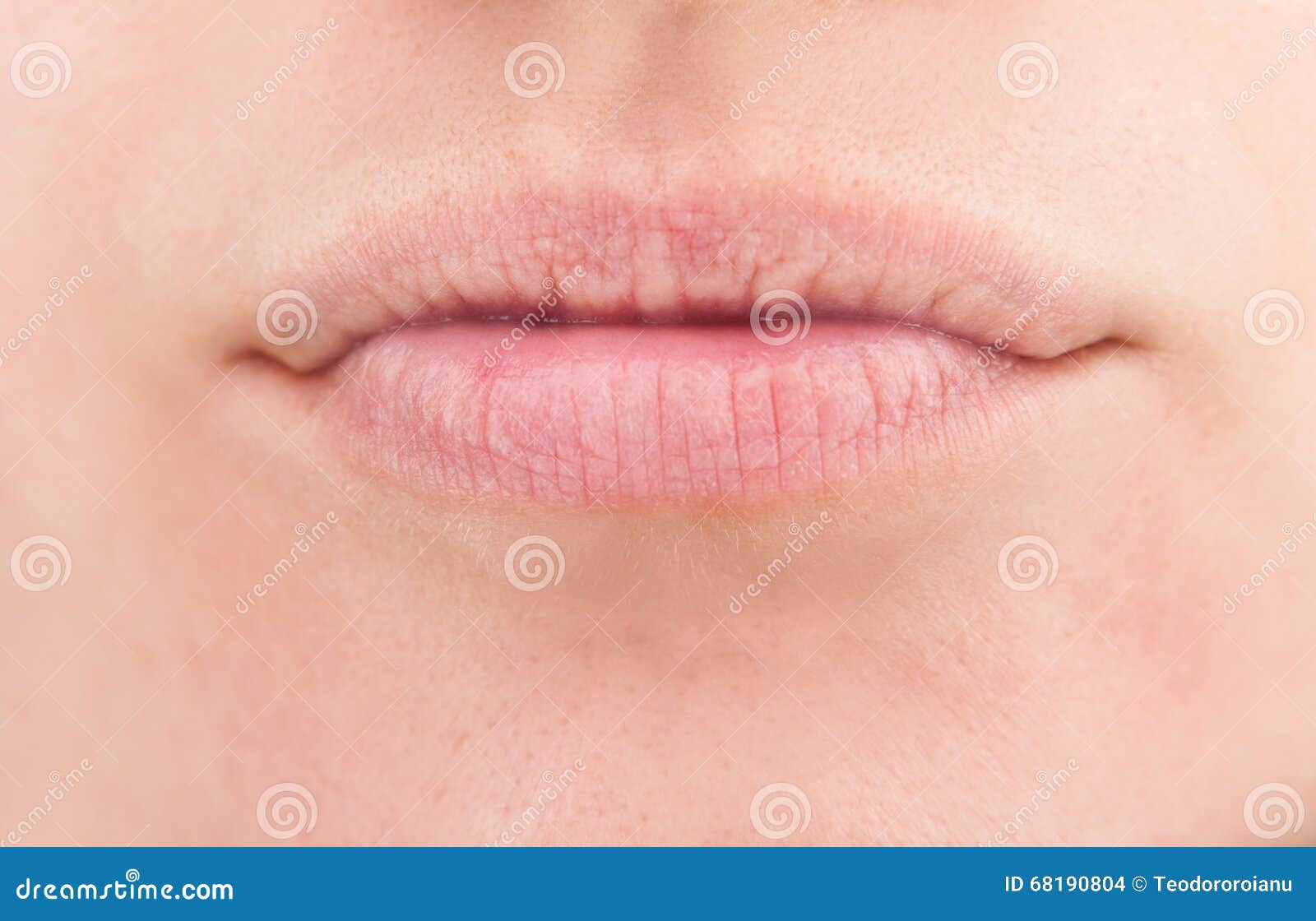 Natural woman lips stock photo. Image of tanned, lady - 68190804