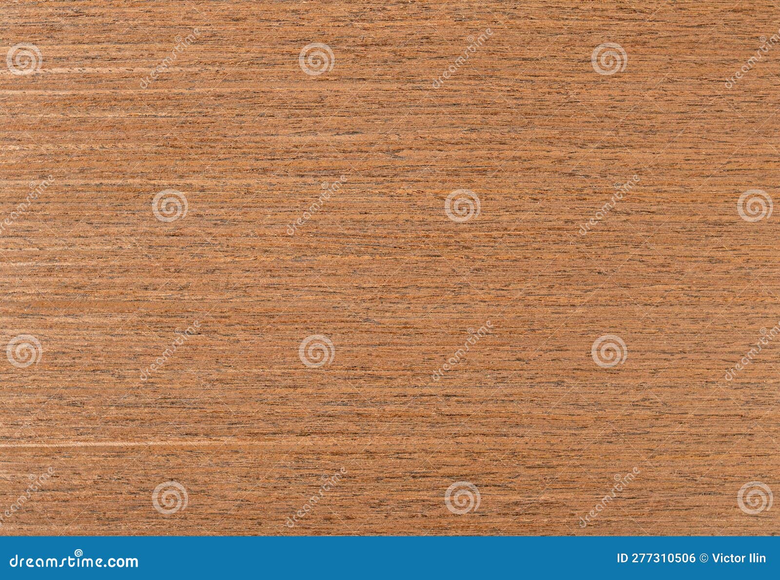 Natural Wood Background. Wenge Wood Veneer with Silver Stripes Stock ...