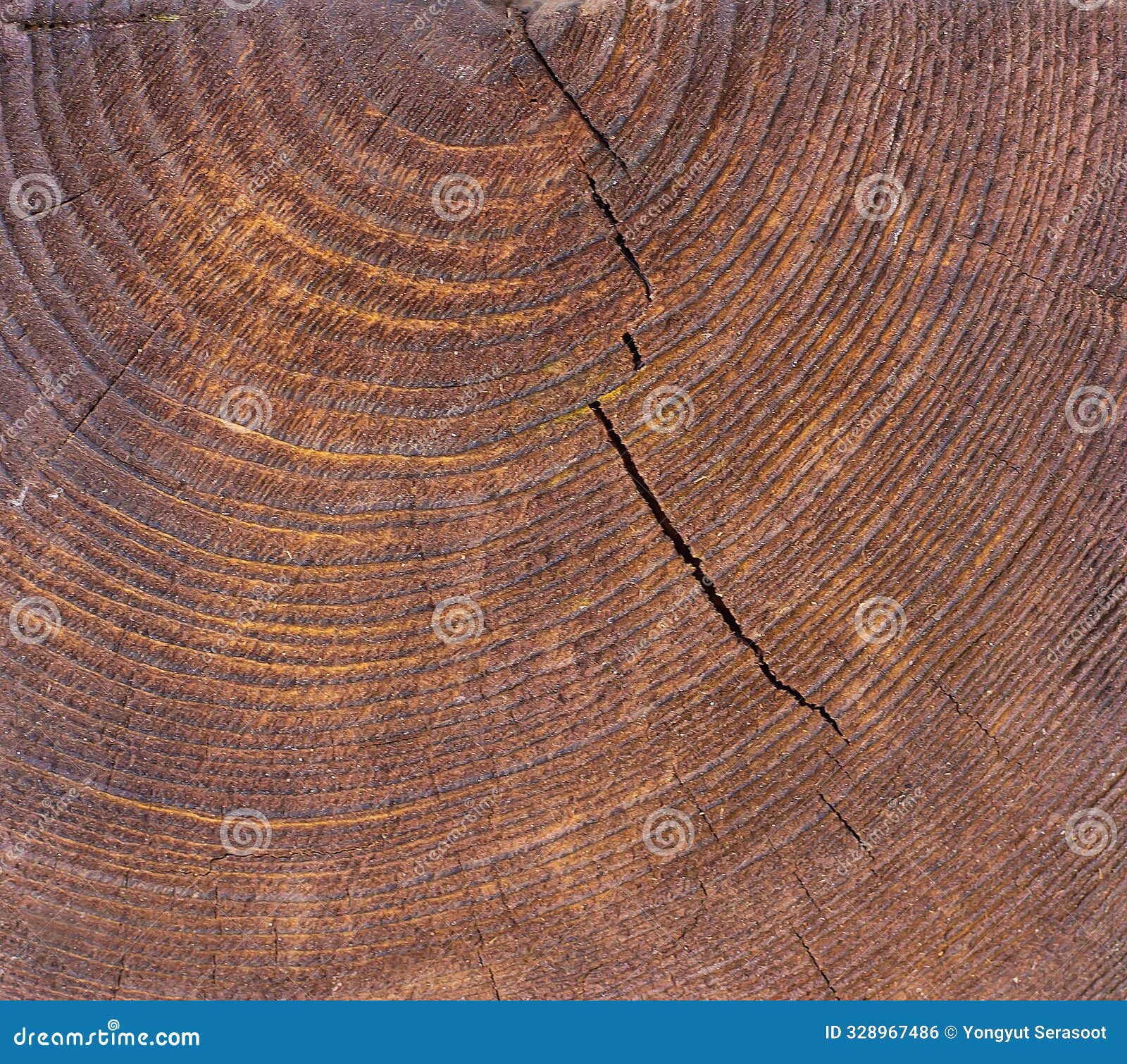 Natural Wood Grain Texture, Brown with Cracks Stock Photo - Image of ...