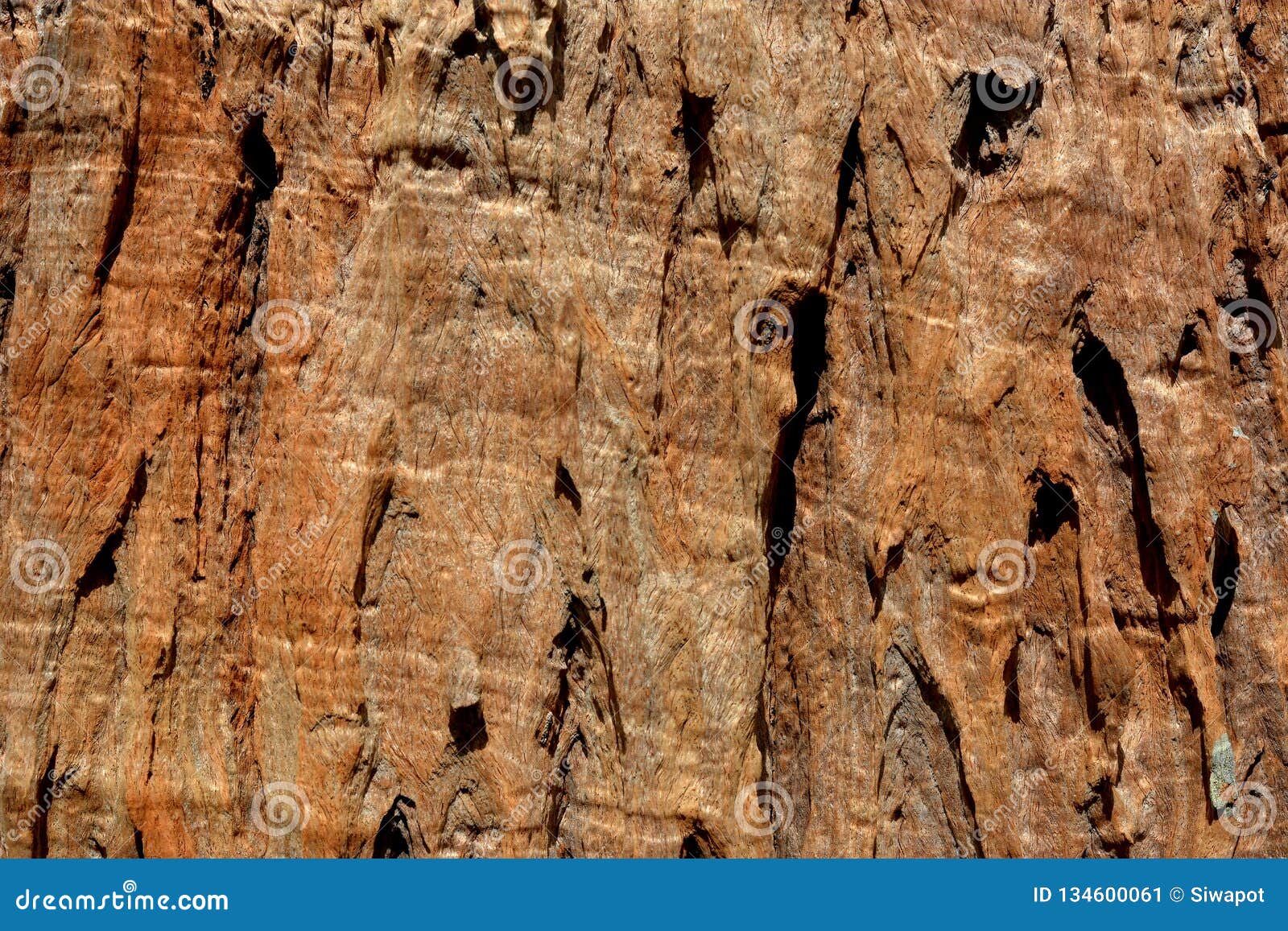 Natural wood pattern stock image. Image of beautiful - 134600061