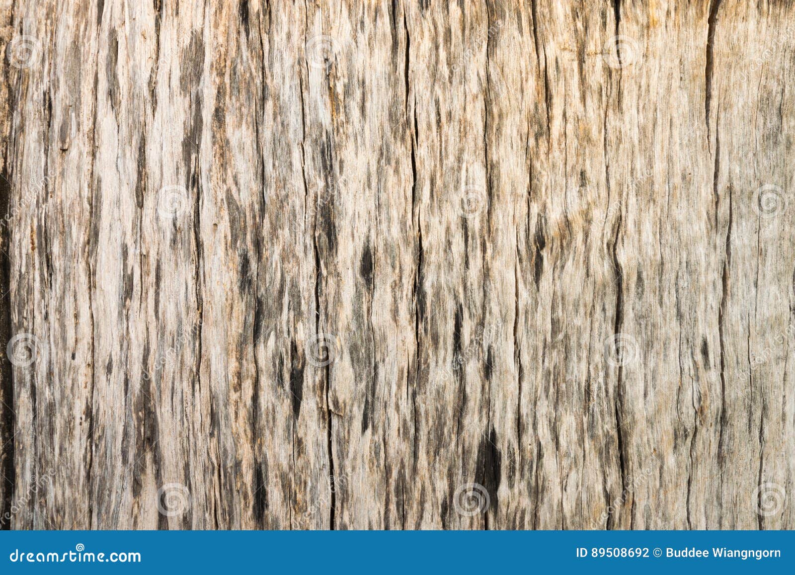 Natural Wood Patterns, Colors and Patterns Stock Photo - Image of ...
