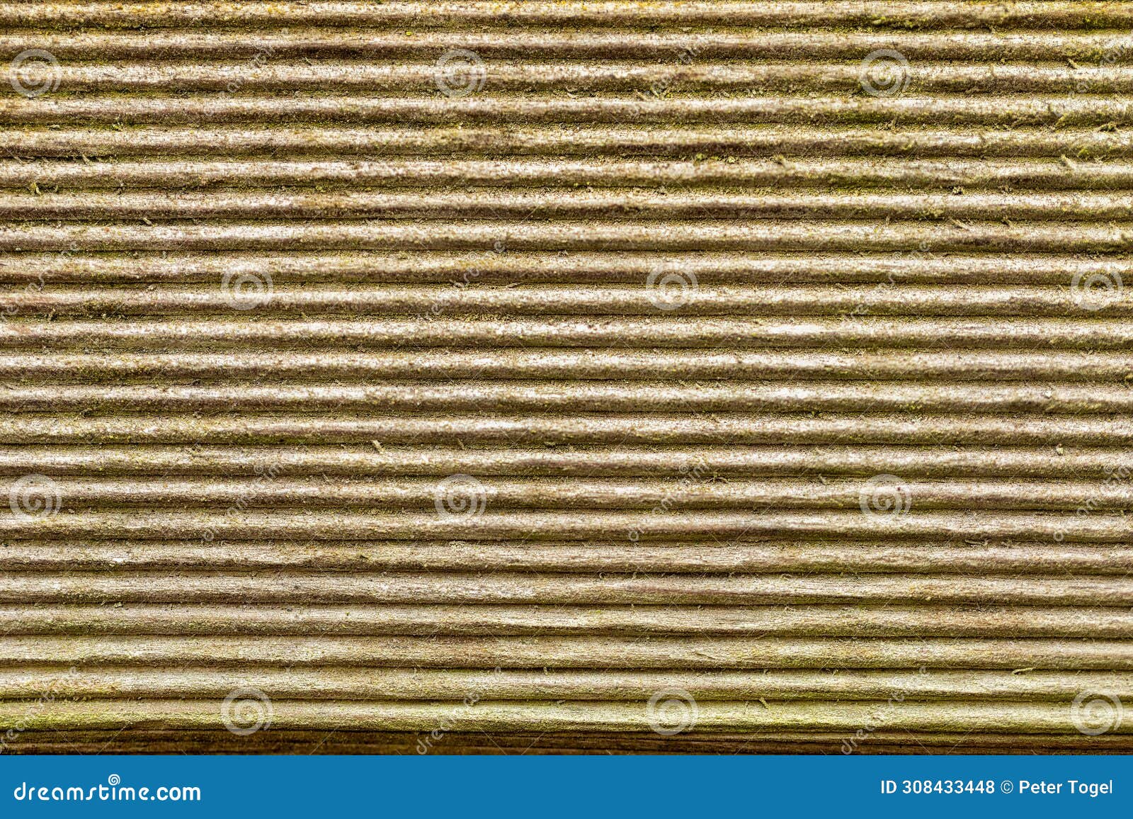 Natural Wood Profile Texture Background for Design Projects Stock Photo ...