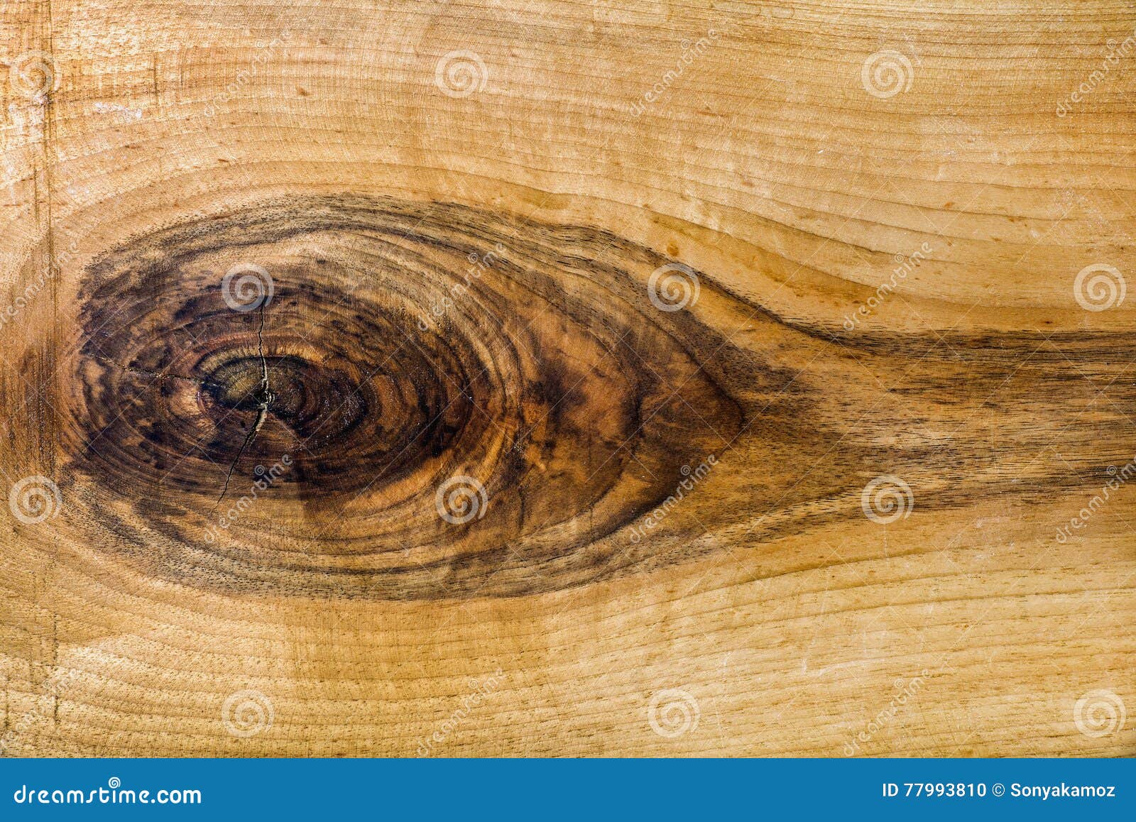 Natural Wood Slab Texture, Background and Wallpaper Stock Photo - Image ...