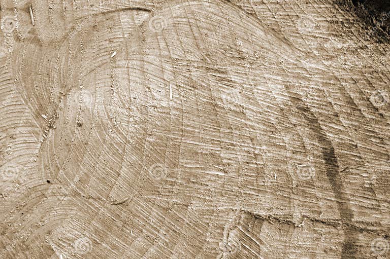 Natural wood texture stock photo. Image of bitmap, texture - 26227214
