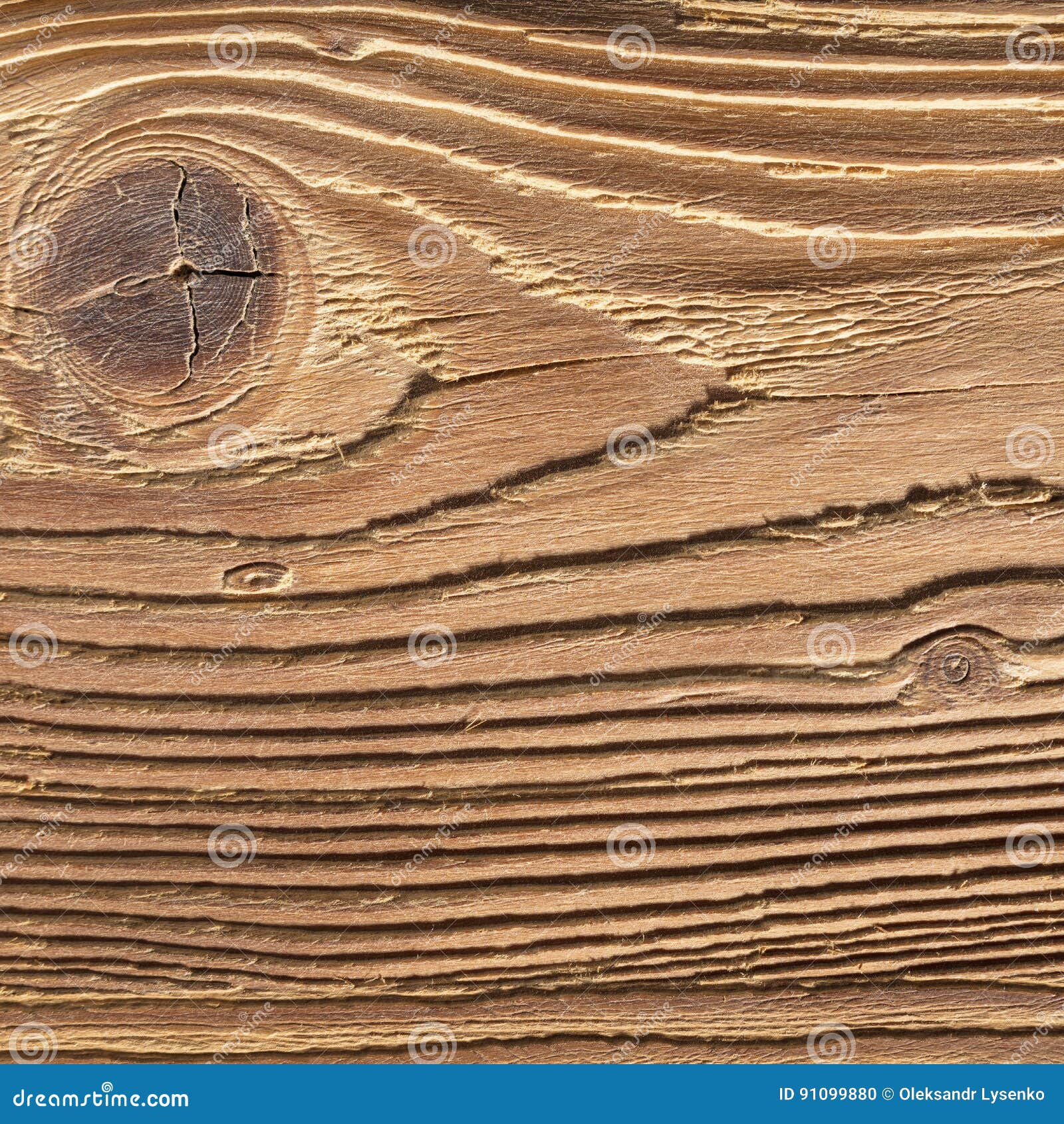 Natural Wood Texture Closeup Stock Photo - Image of brown, surface ...
