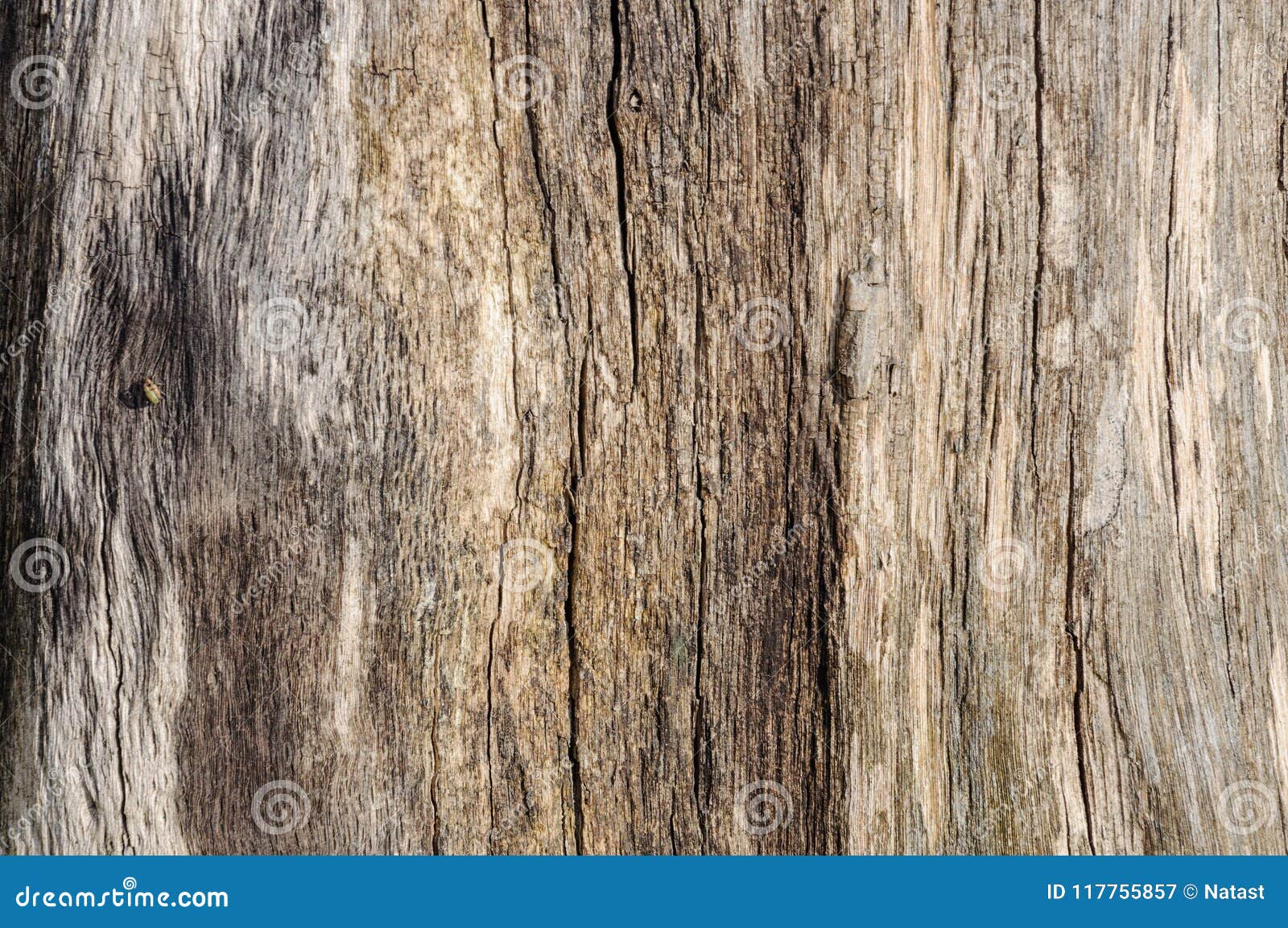 Natural wood texture stock image. Image of vintage, texture - 117755857