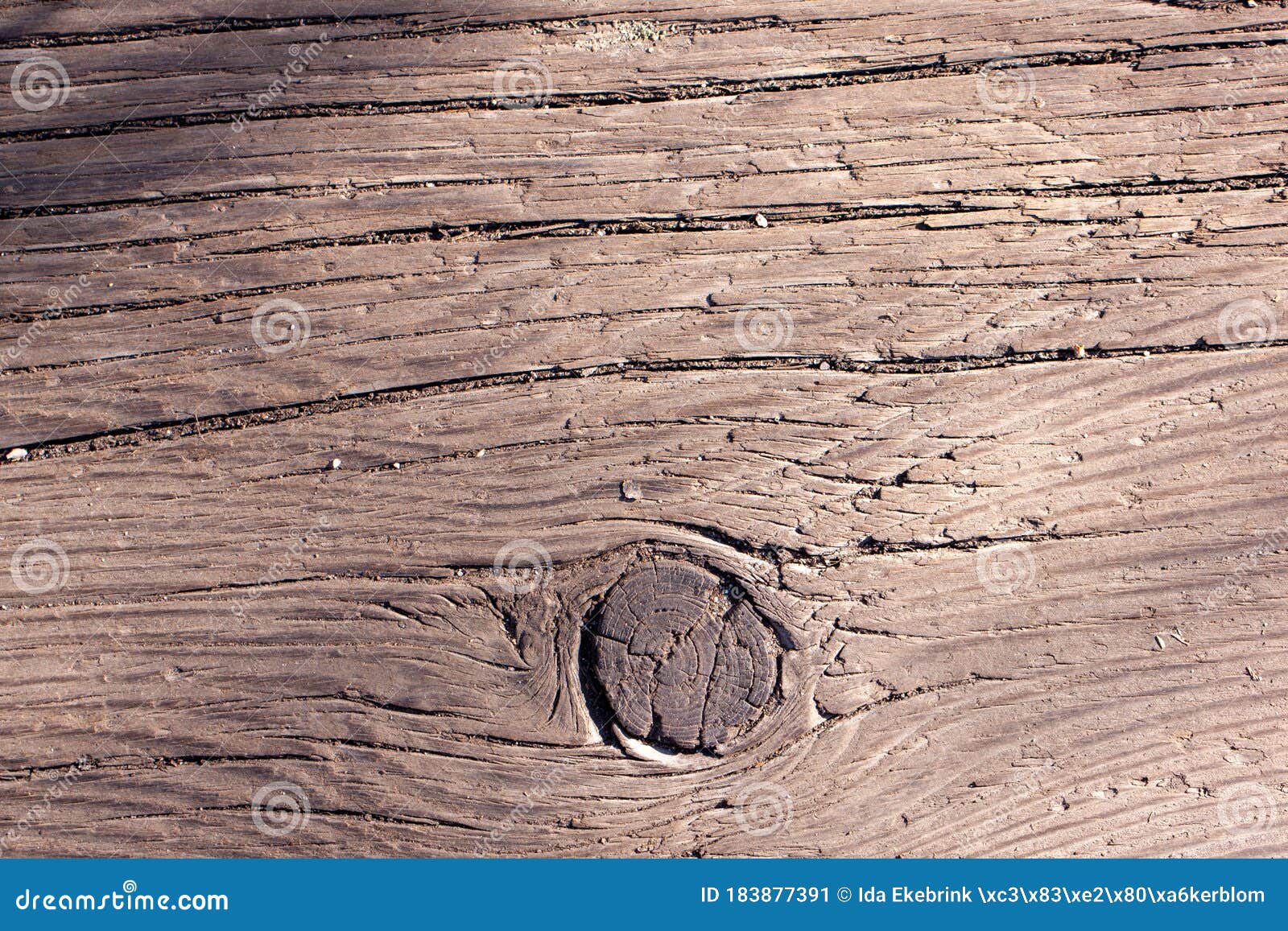 Natural Wood Texture. Old Tree Trunk Background - Horizontal Lines ...