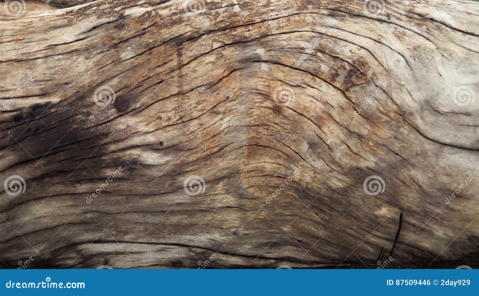 Natural Wood Texture, Background Stock Photo - Image of grain, wall ...
