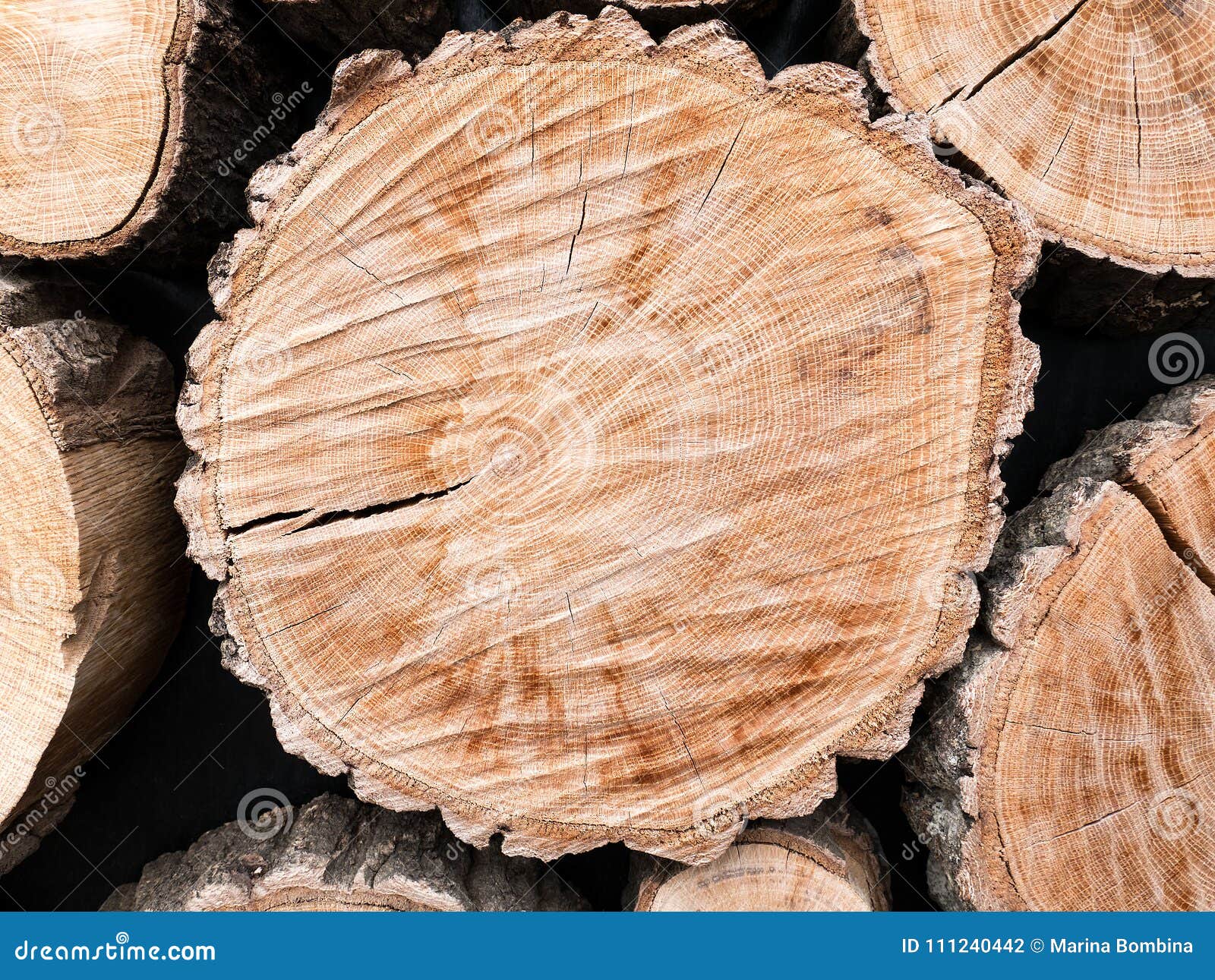 Natural Wooden Logs Background Stock Photo - Image of lumber, hardwood ...