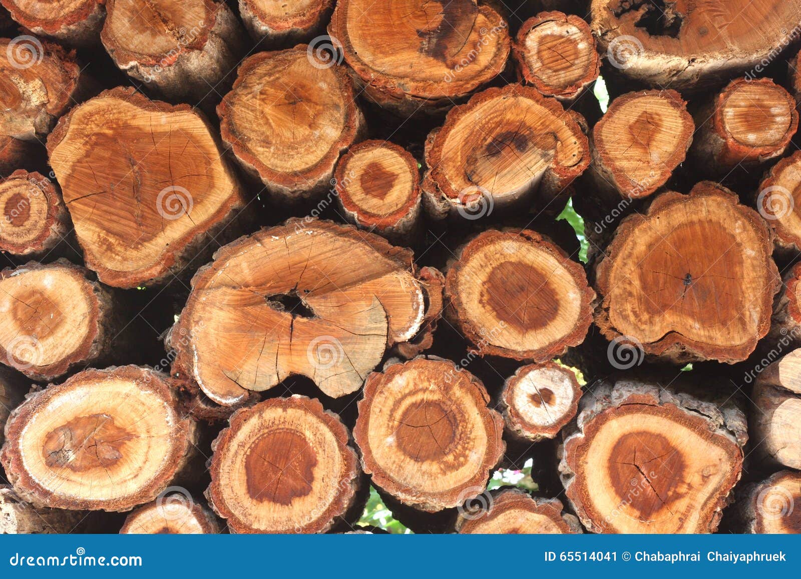 Natural Wooden Logs Background, Top View Stock Image - Image of ...