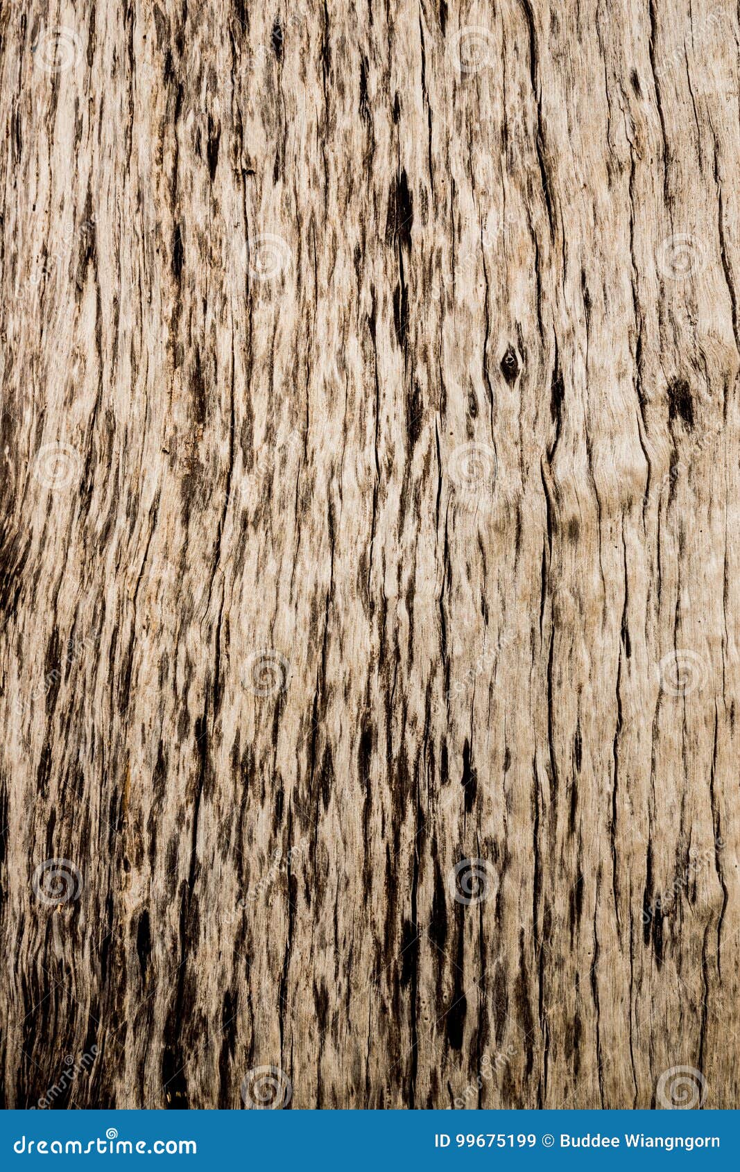 Natural Wooden Table Patterns, Colors and Patterns Stock Image - Image ...
