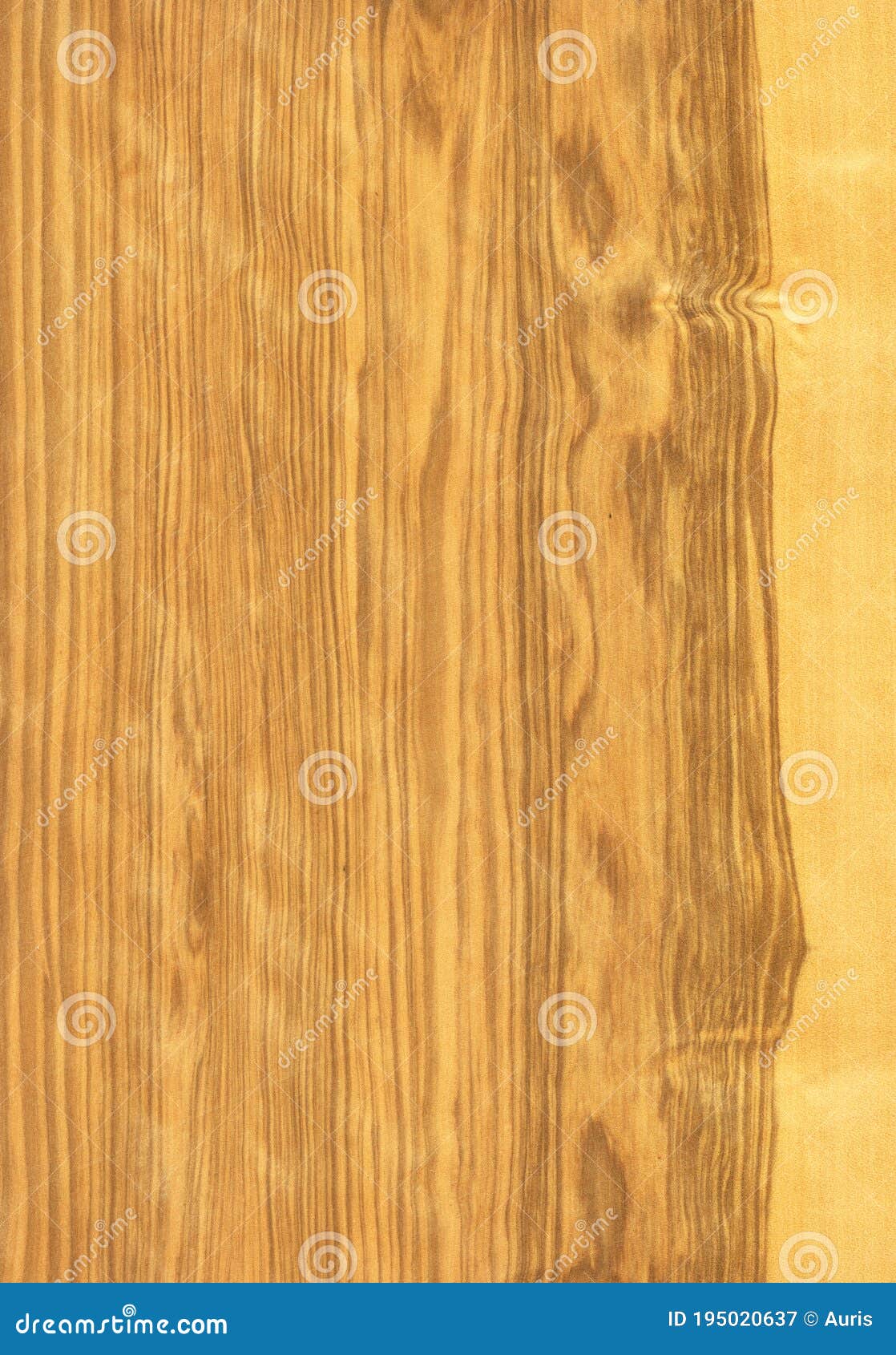 Nargusta Wood Stock Photos - Free & Royalty-Free Stock Photos from ...