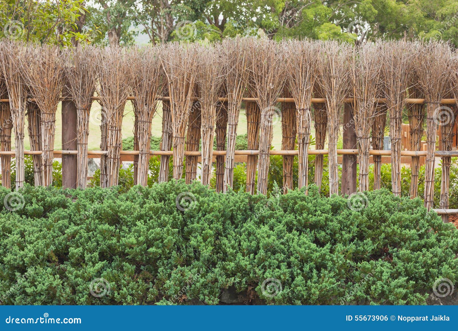 Natural Wooden Wall of Japanese Style Stock Photo - Image of brown ...
