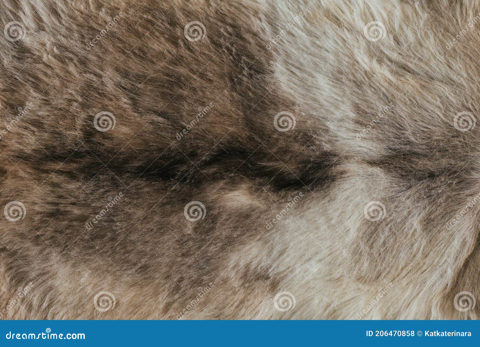 Natural Wool Texture Animals, the Coat of the Wolf with a Dark Cloth in ...