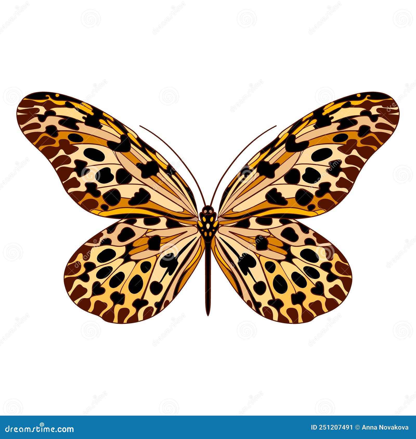 Natural Yellow Butterfly Isolated Stock Vector - Illustration of sketch ...