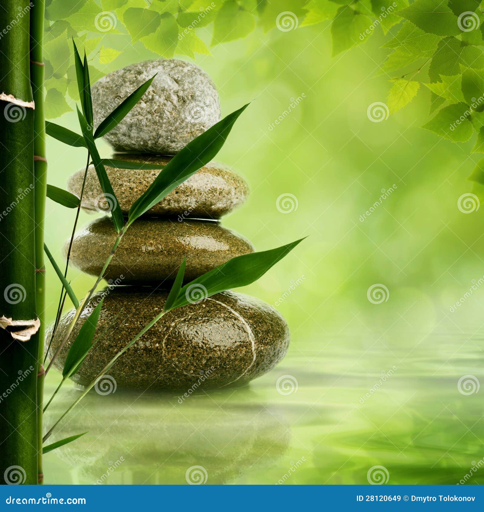 Natural zen backgrounds stock image. Image of abstract - 28120649