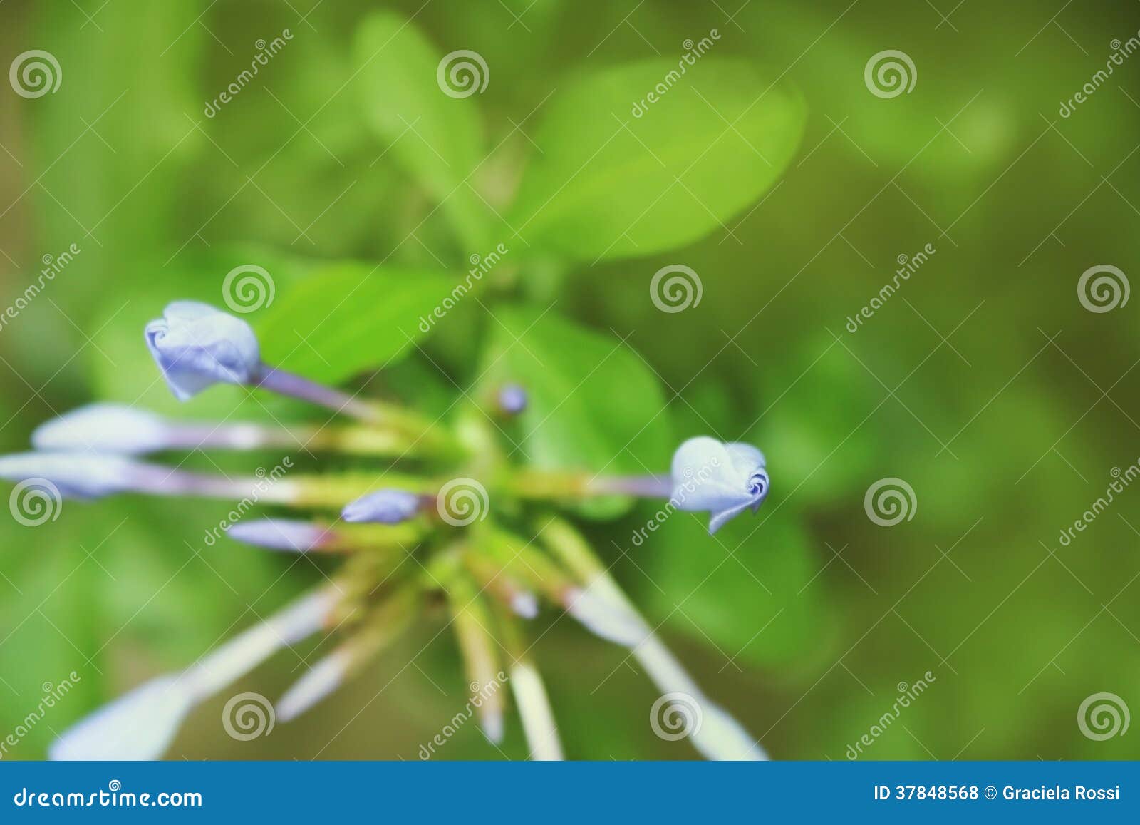 Naturaleza azul foto de archivo. Imagen de verano, agua - 37848568