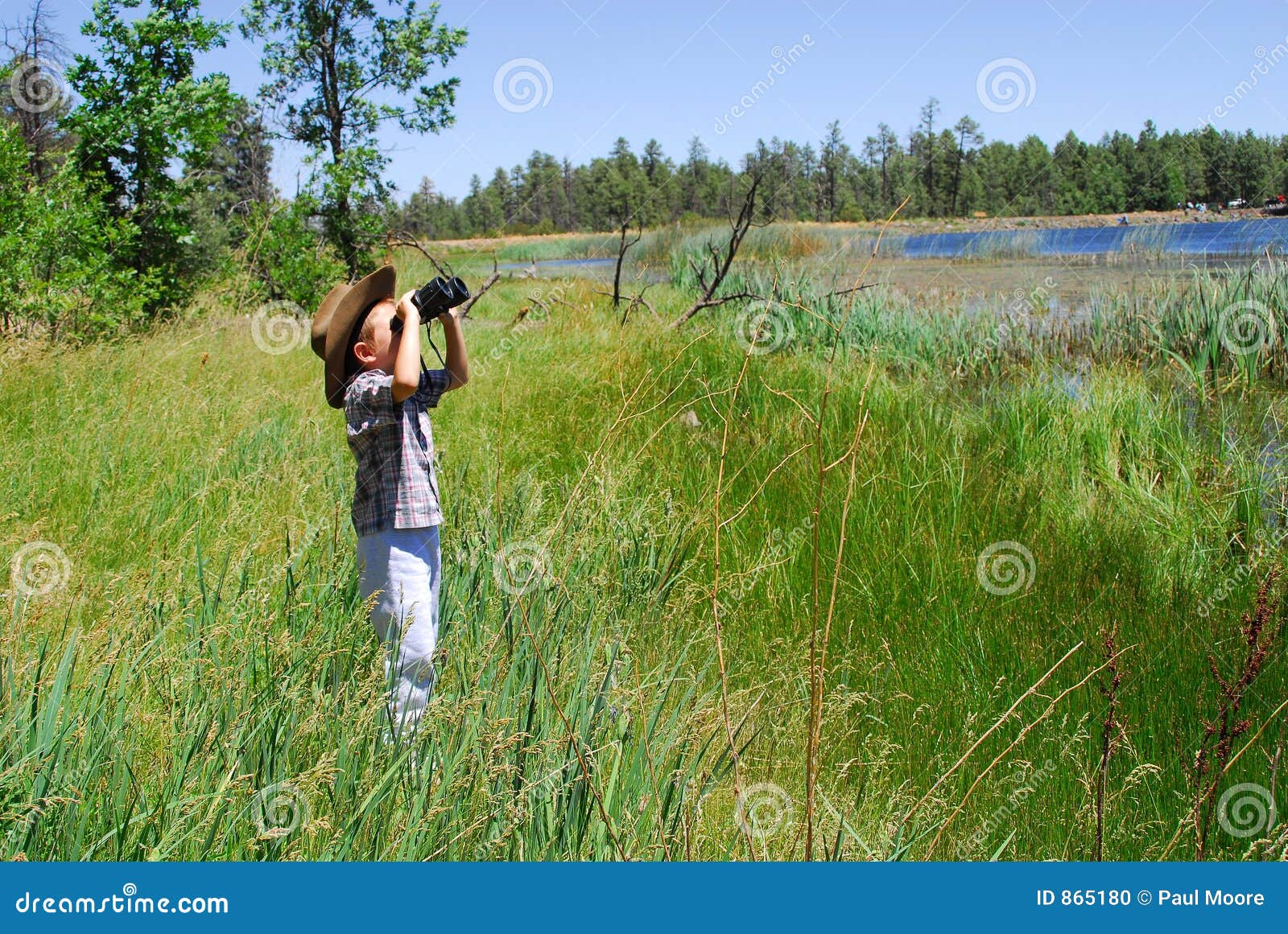 The Naturalist stock photo. Image of animals, nature, photographer - 865180