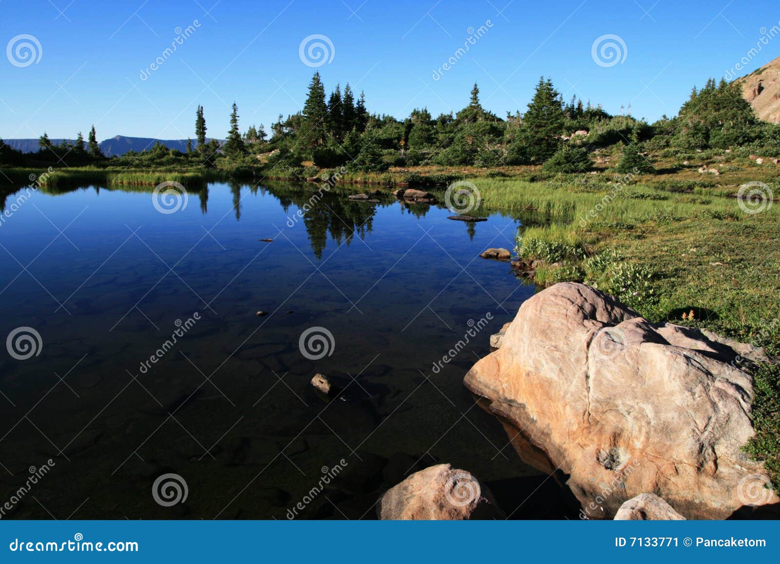 Naturalist basin lake stock image. Image of green, wilderness - 7133771