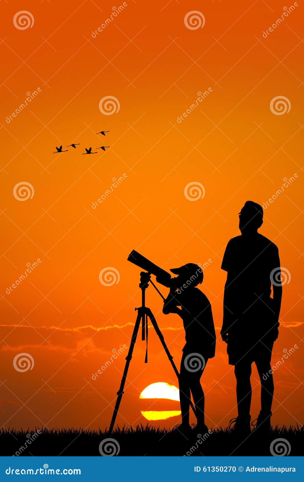 Naturalistic Observation Stock Illustrations – 3 Naturalistic ...