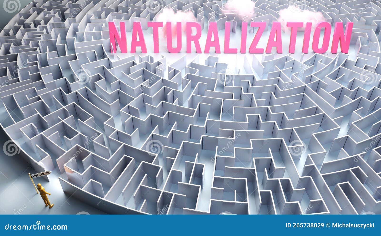 Naturalization and a Difficult Path To it Stock Illustration ...