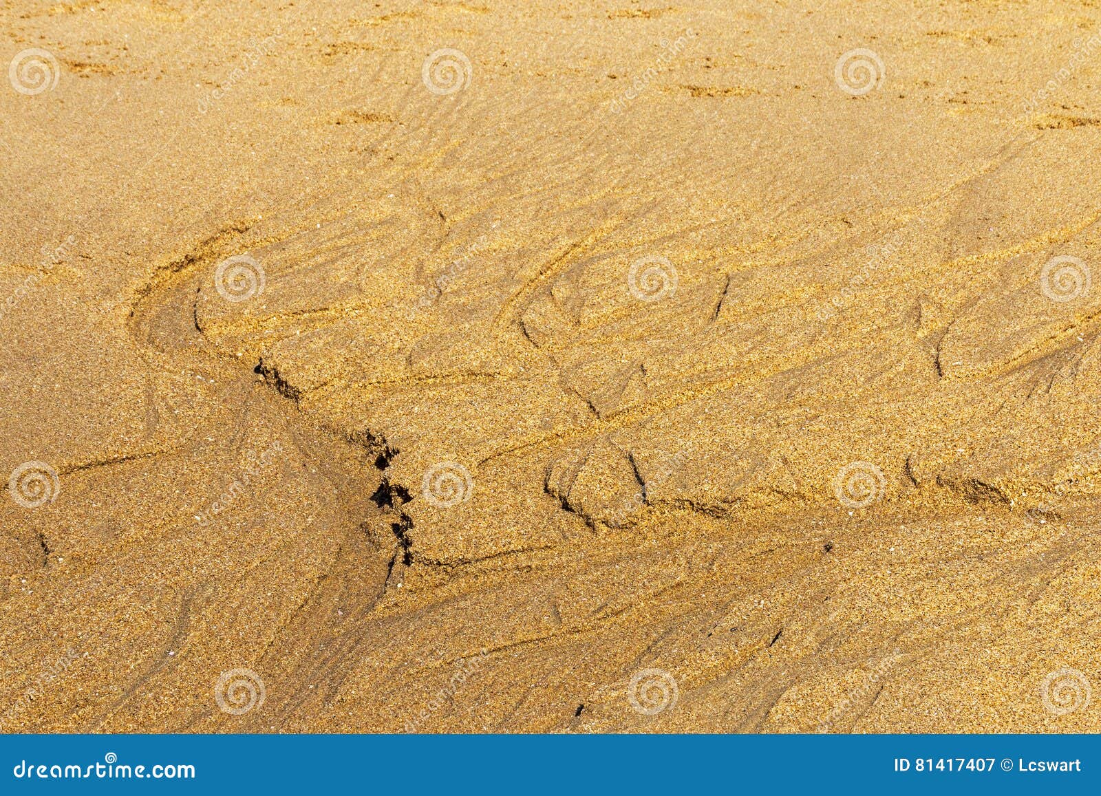 Naturally Formed Patterns and Textures on Wet Beach Sand Stock Image ...