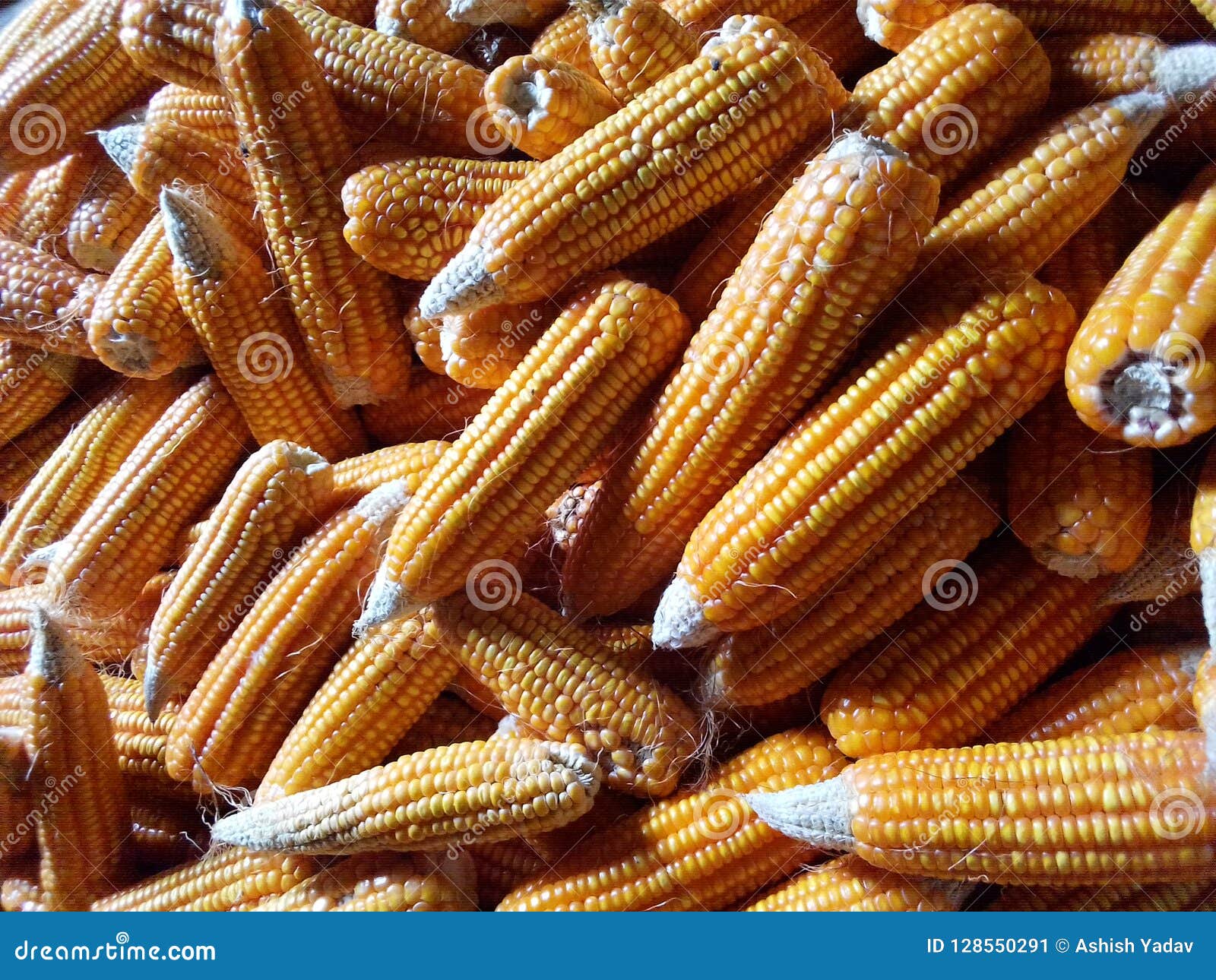 Naturally photos stock image. Image of naturally, beautiful - 128550291