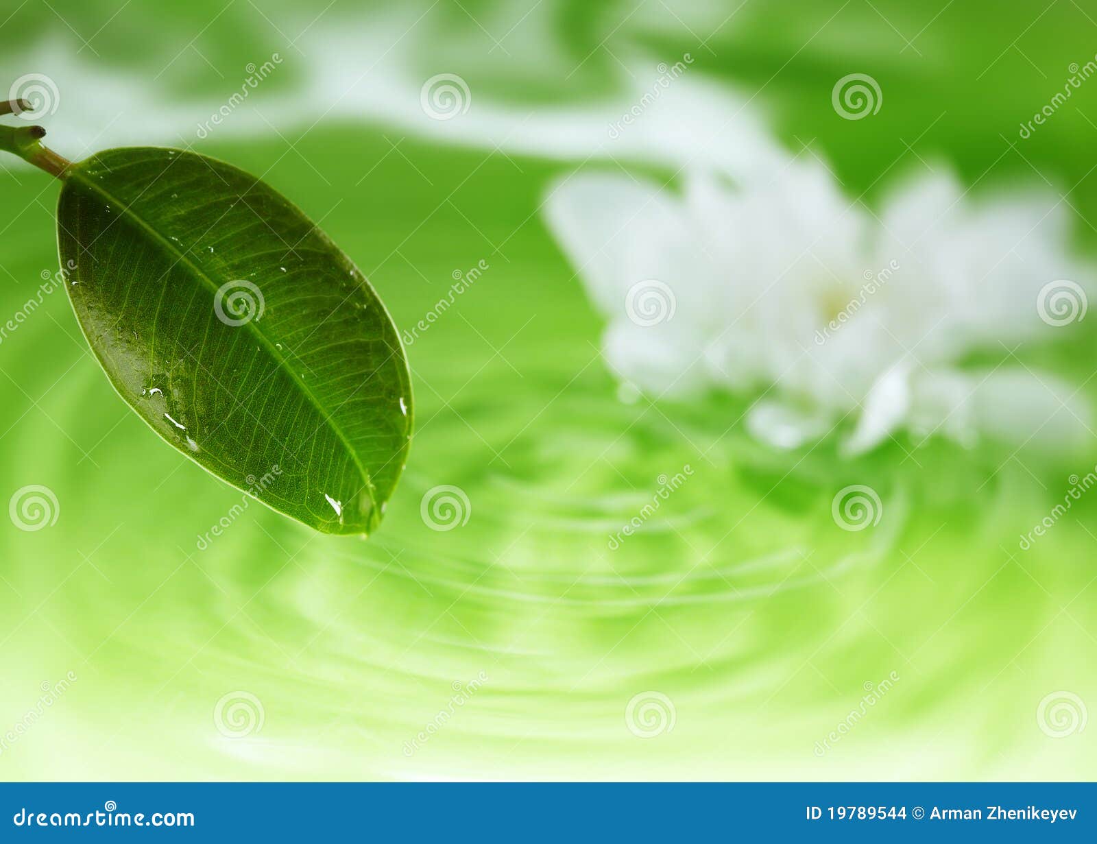 Nature stock photo. Image of horizontal, life, plant - 19789544