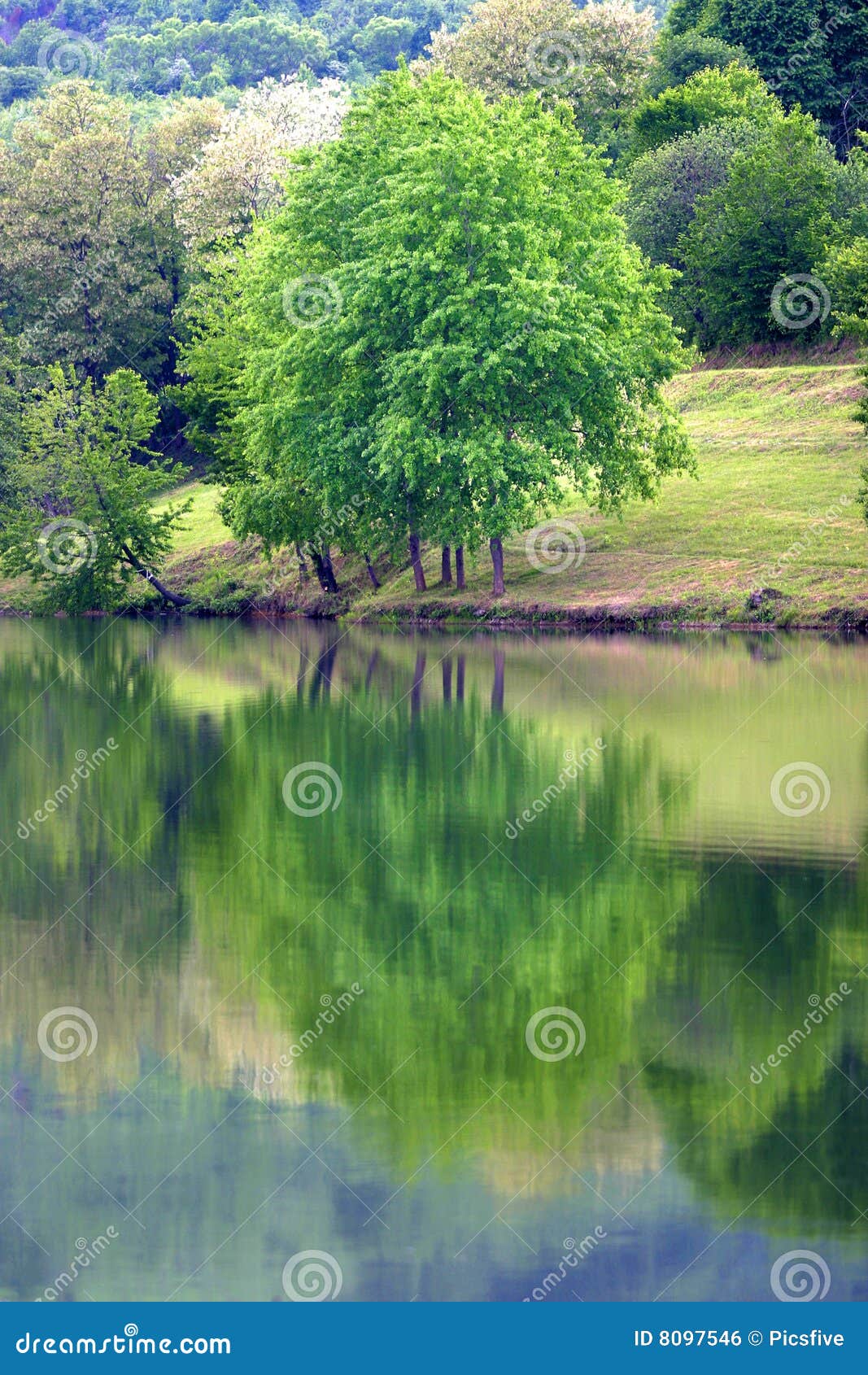 Nature 23 stock photo. Image of quiet, ecology, landscapes - 8097546