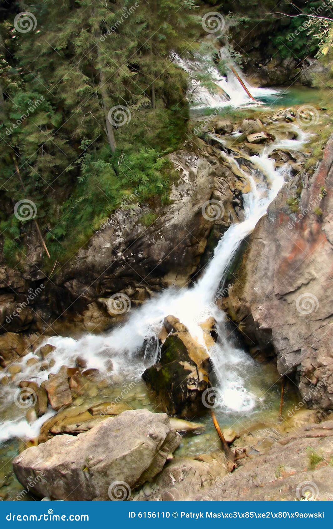 Nature stock photo. Image of garden, moist, canal, landscape - 6156110