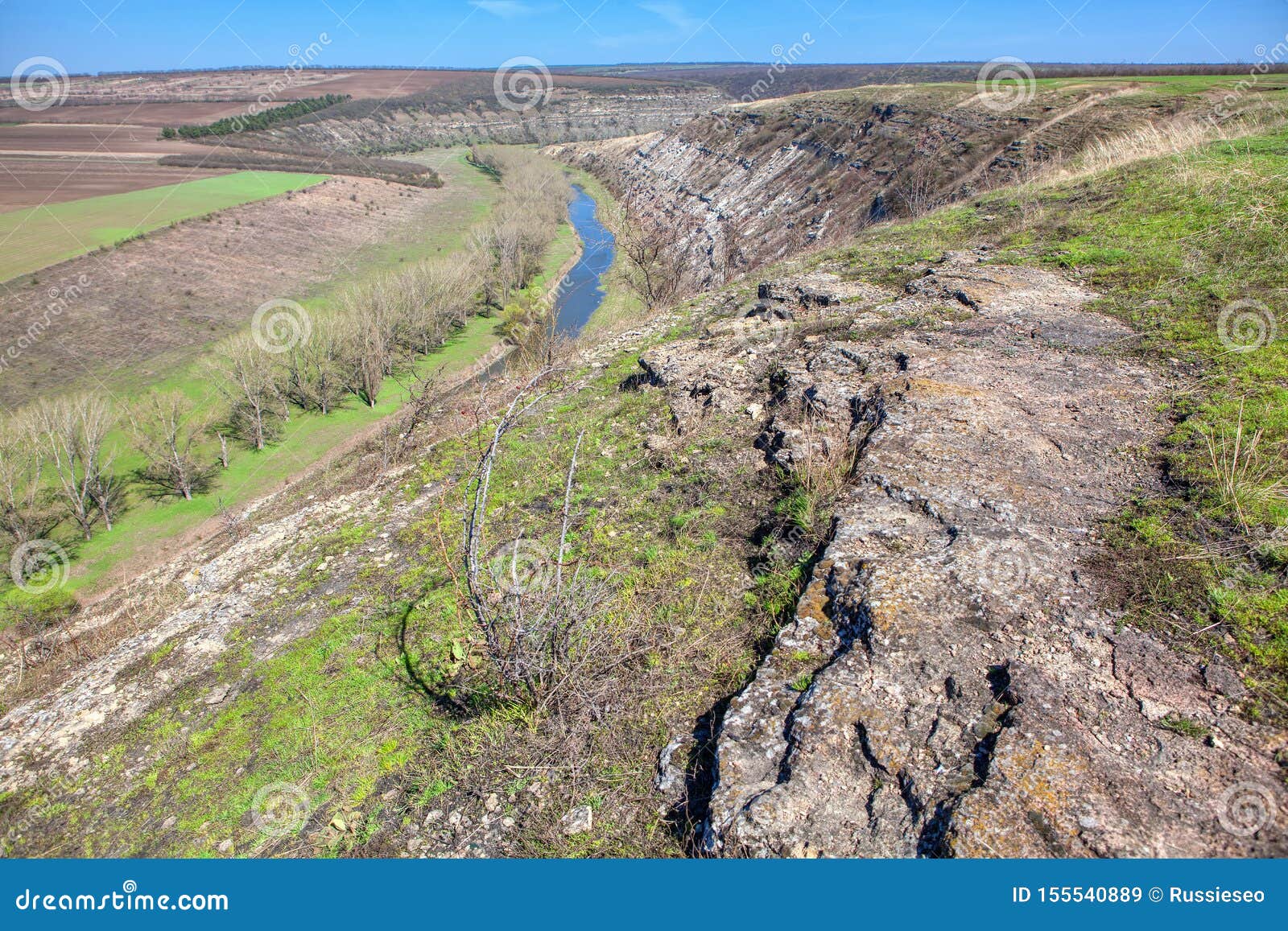 Nature from above stock image. Image of forest, river - 155540889