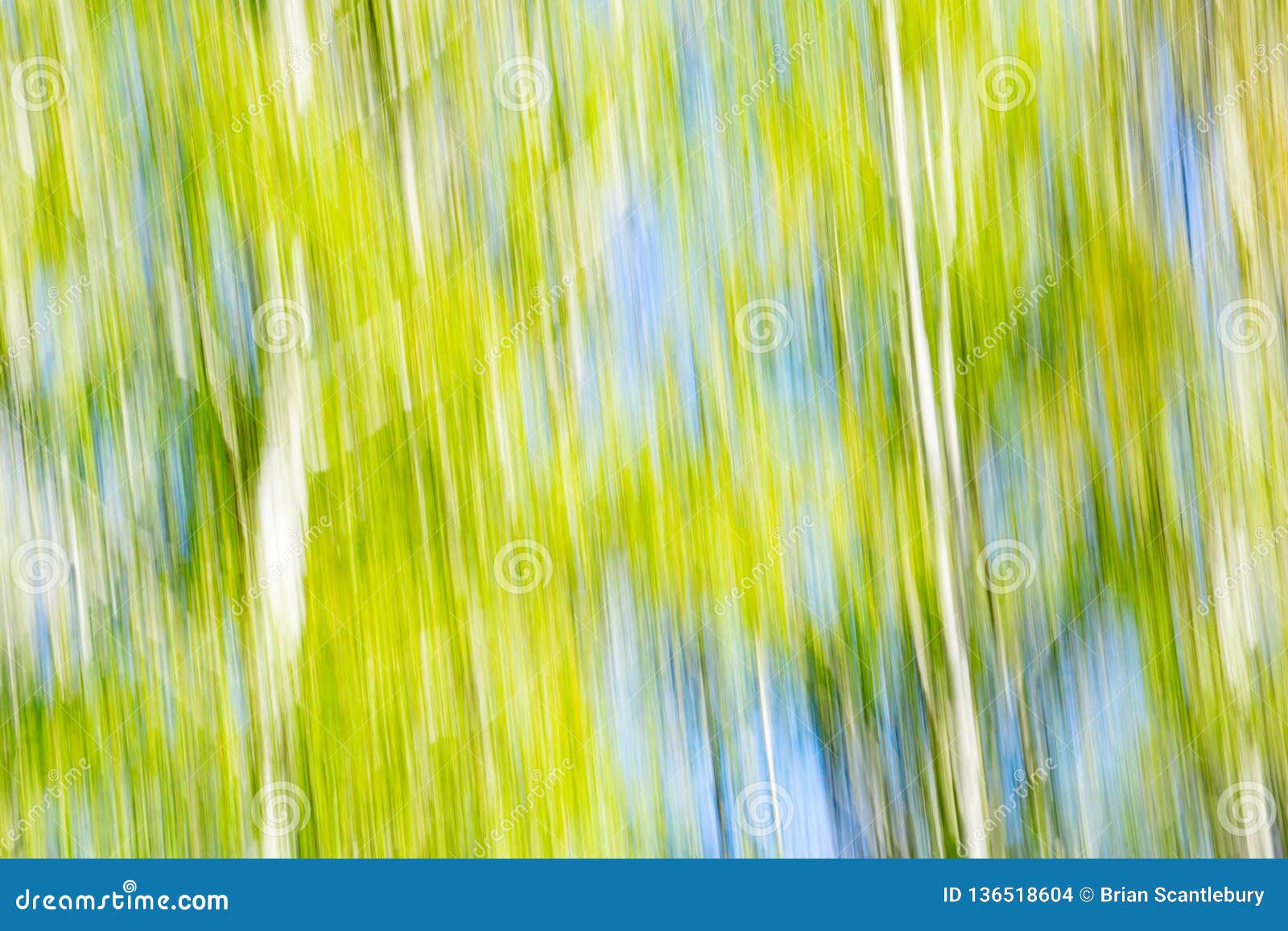 Nature Abstract Background Spring Colors Stock Photo - Image of ...