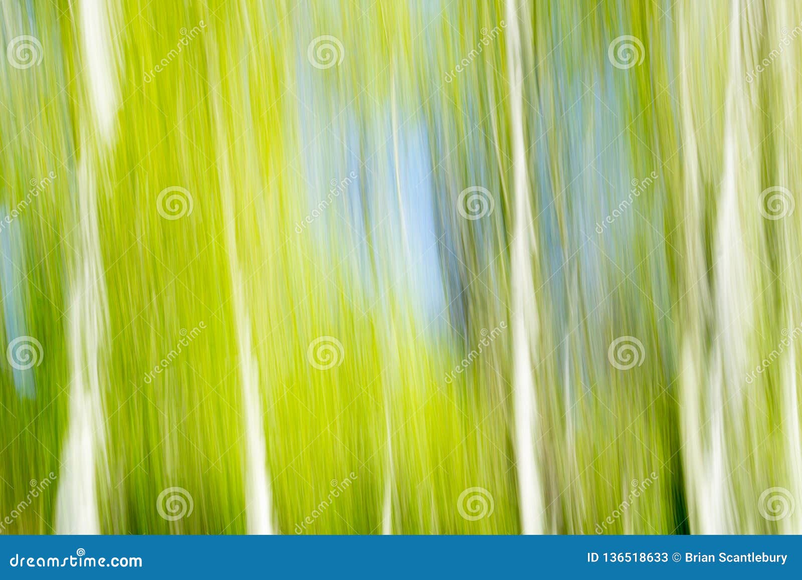 Nature Abstract Background Spring Colors Stock Image - Image of motion ...
