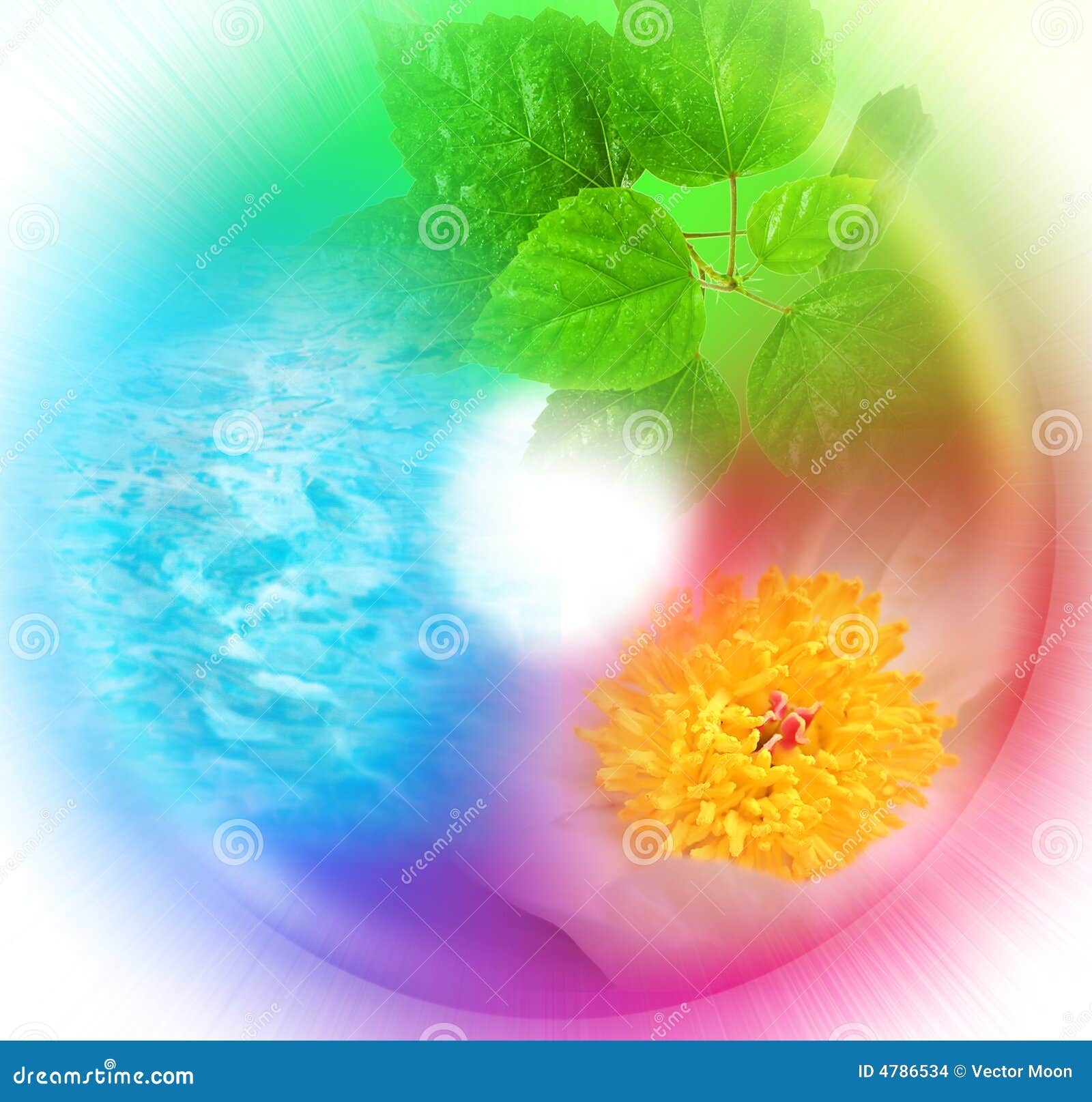 Nature abstract concept stock photo. Image of liquid, leaves - 4786534