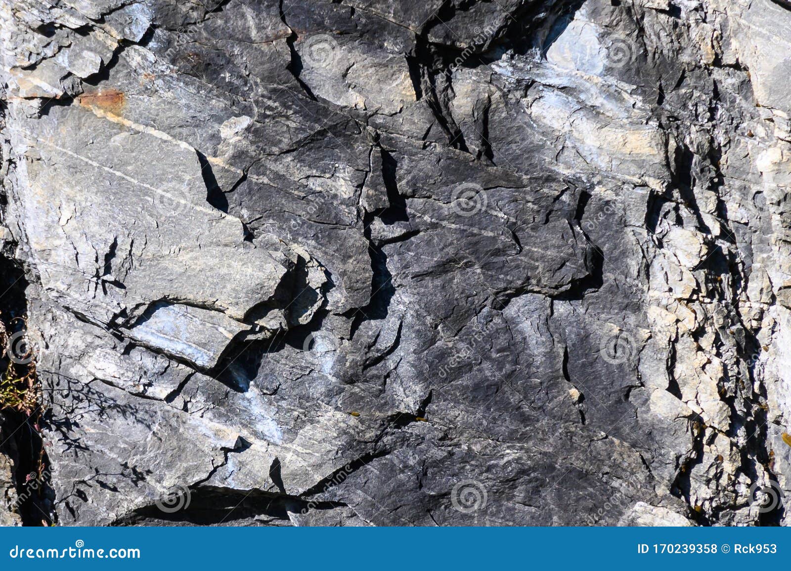 Nature Abstract: Pattern Created by Cracks and Crevices in a Solid Rock ...
