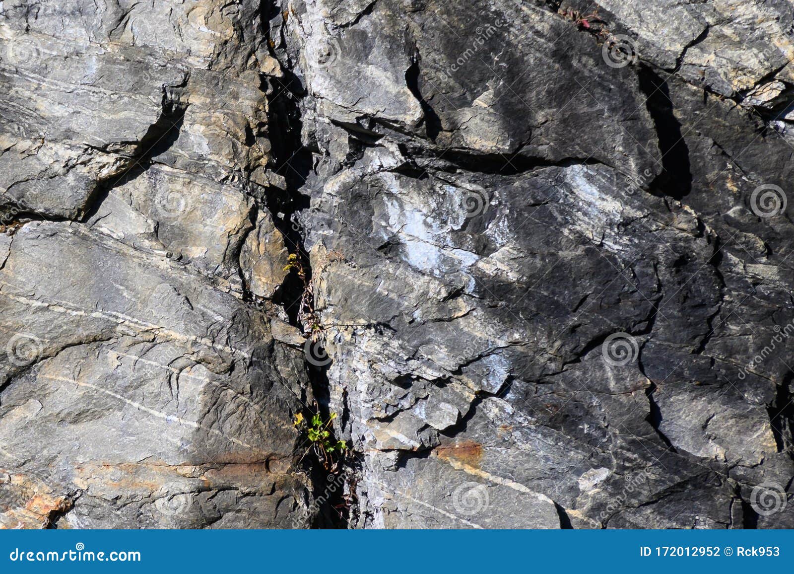 Nature Abstract: Pattern Created by Cracks and Crevices in a Solid Rock ...