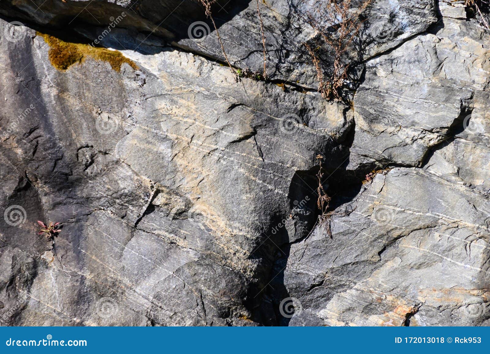 Nature Abstract: Pattern Created by Cracks and Crevices in a Solid Rock ...
