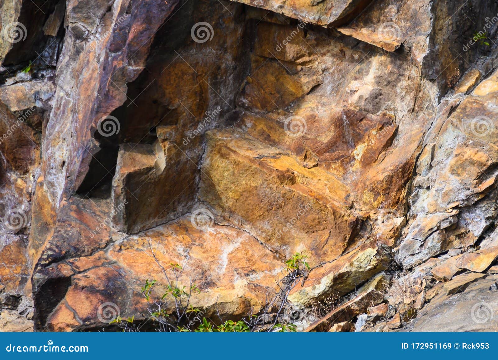 Nature Abstract: Pattern Created by Cracks and Crevices in a Solid Rock ...