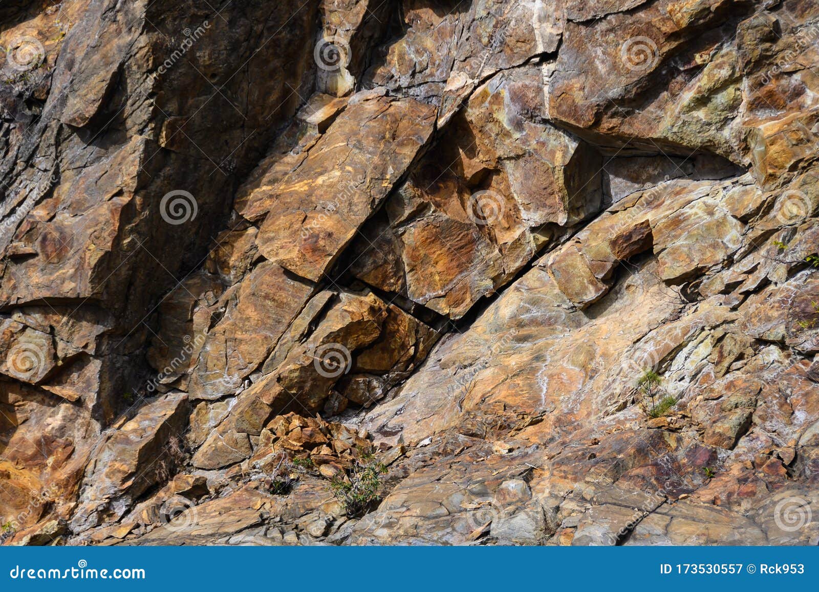 Nature Abstract: Pattern Created by Cracks and Crevices in a Solid Rock ...